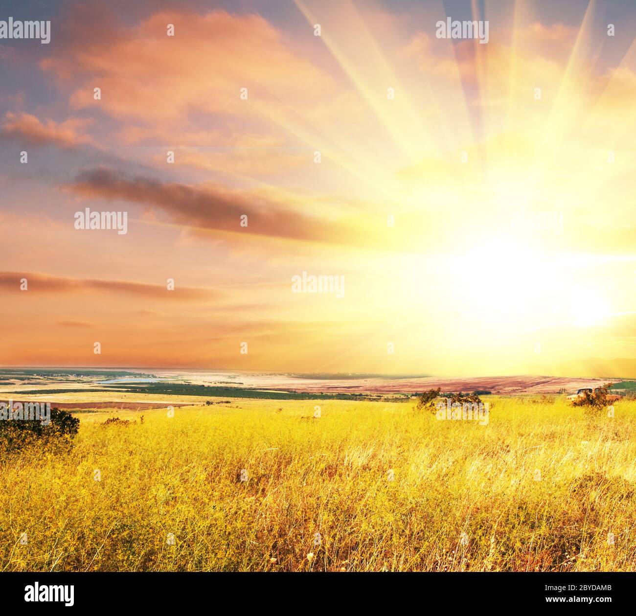 Field on sunset Stock Photo - Alamy
