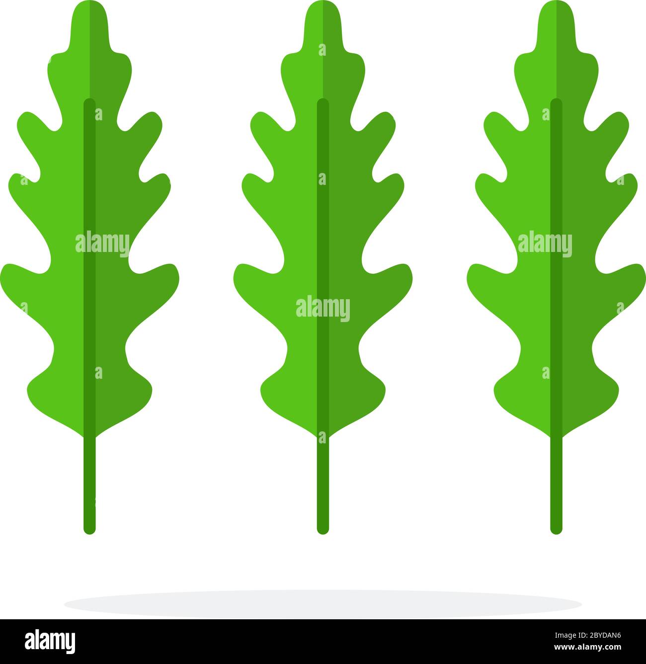 Fresh rucola arugula leaves Stock Vector Images - Alamy