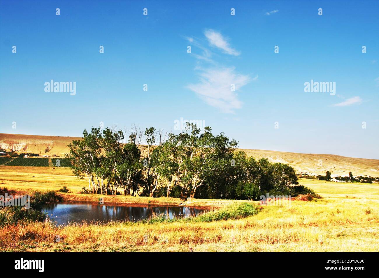 Summer landscapes hi-res stock photography and images - Alamy