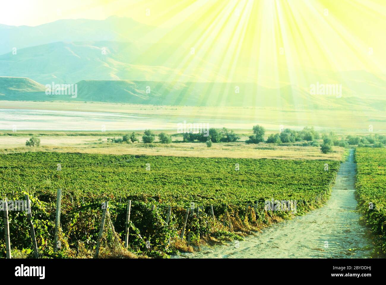 Vinery farm hi-res stock photography and images - Alamy