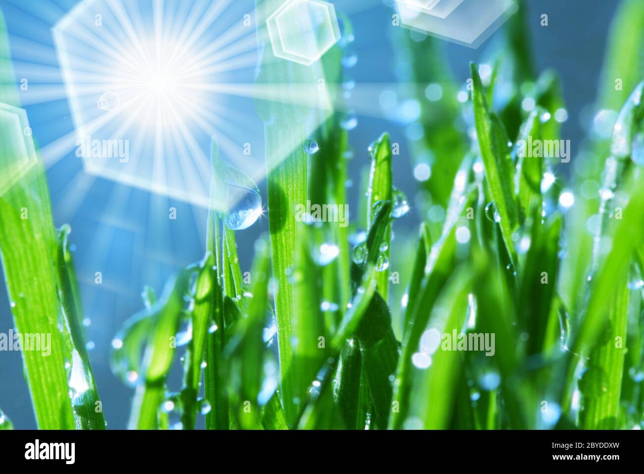 Wet rural hi-res stock photography and images - Alamy