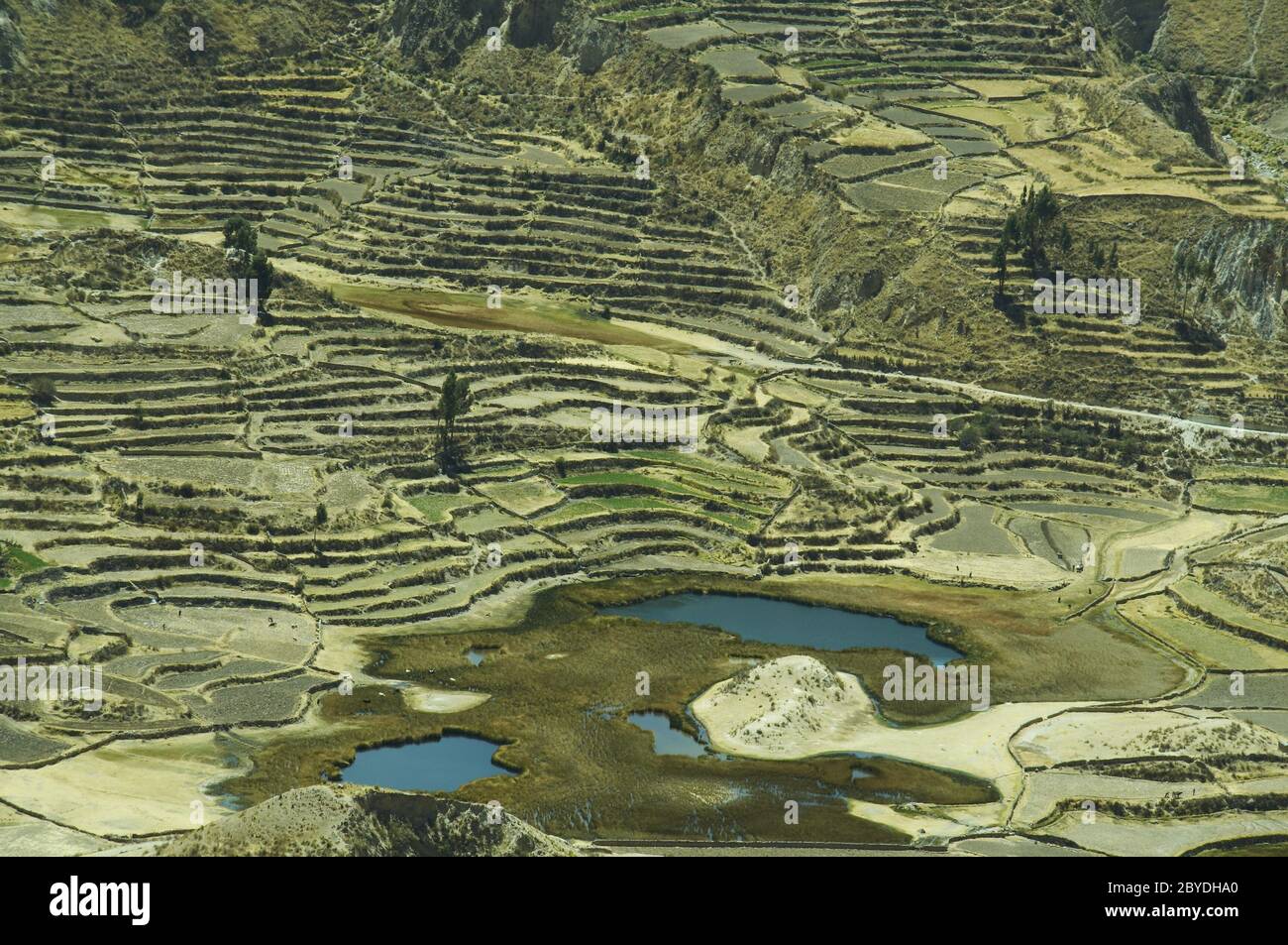Andes landscape in Peru Stock Photo - Alamy
