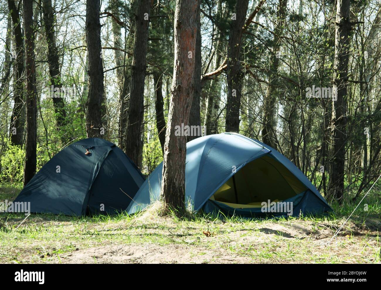 Camping in the forest Stock Photo - Alamy