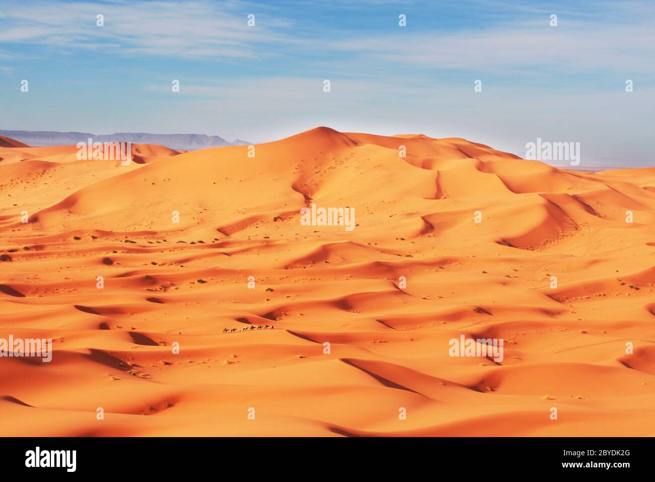 Sahara path hi-res stock photography and images - Alamy