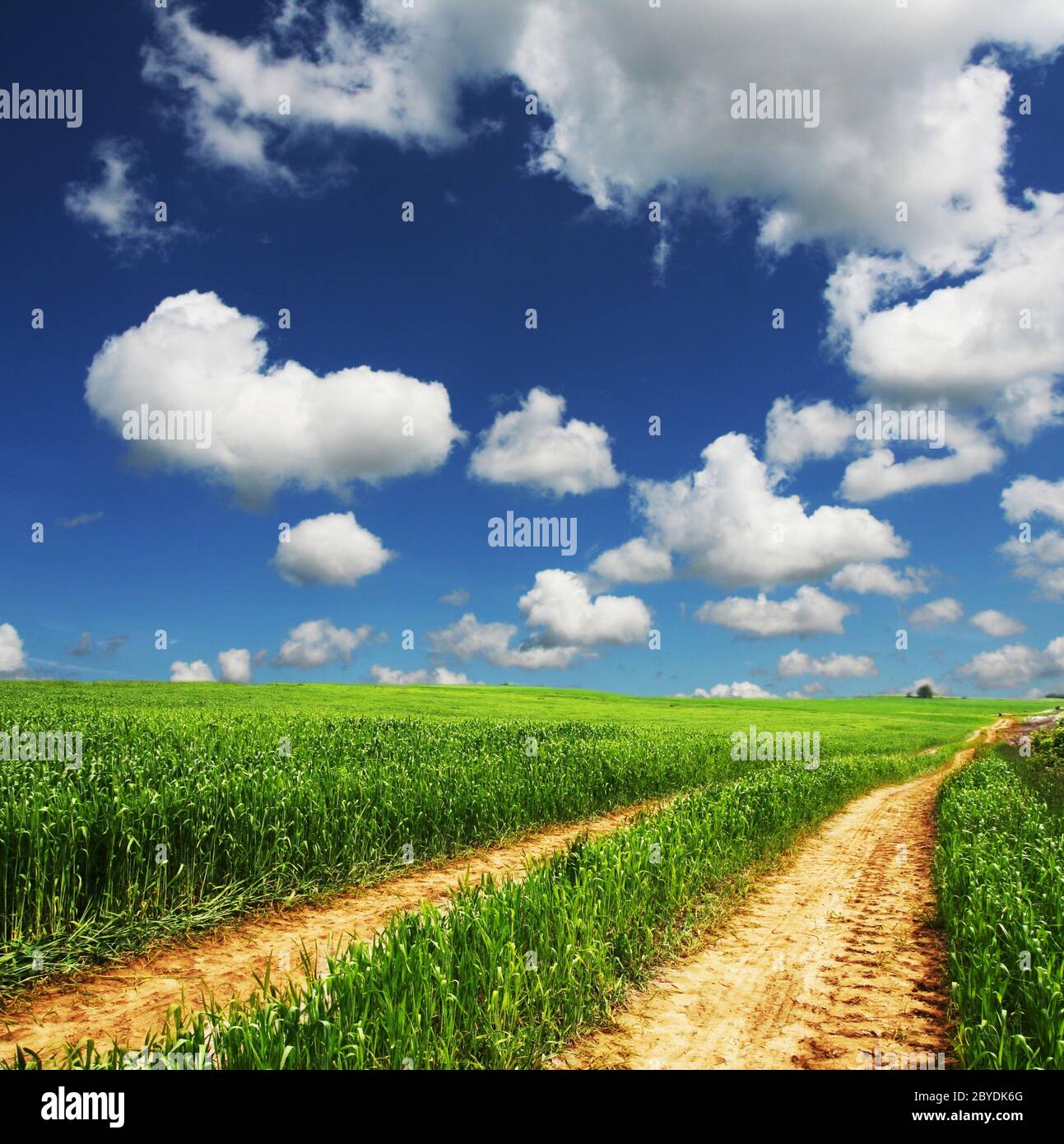 Road in field Stock Photo - Alamy