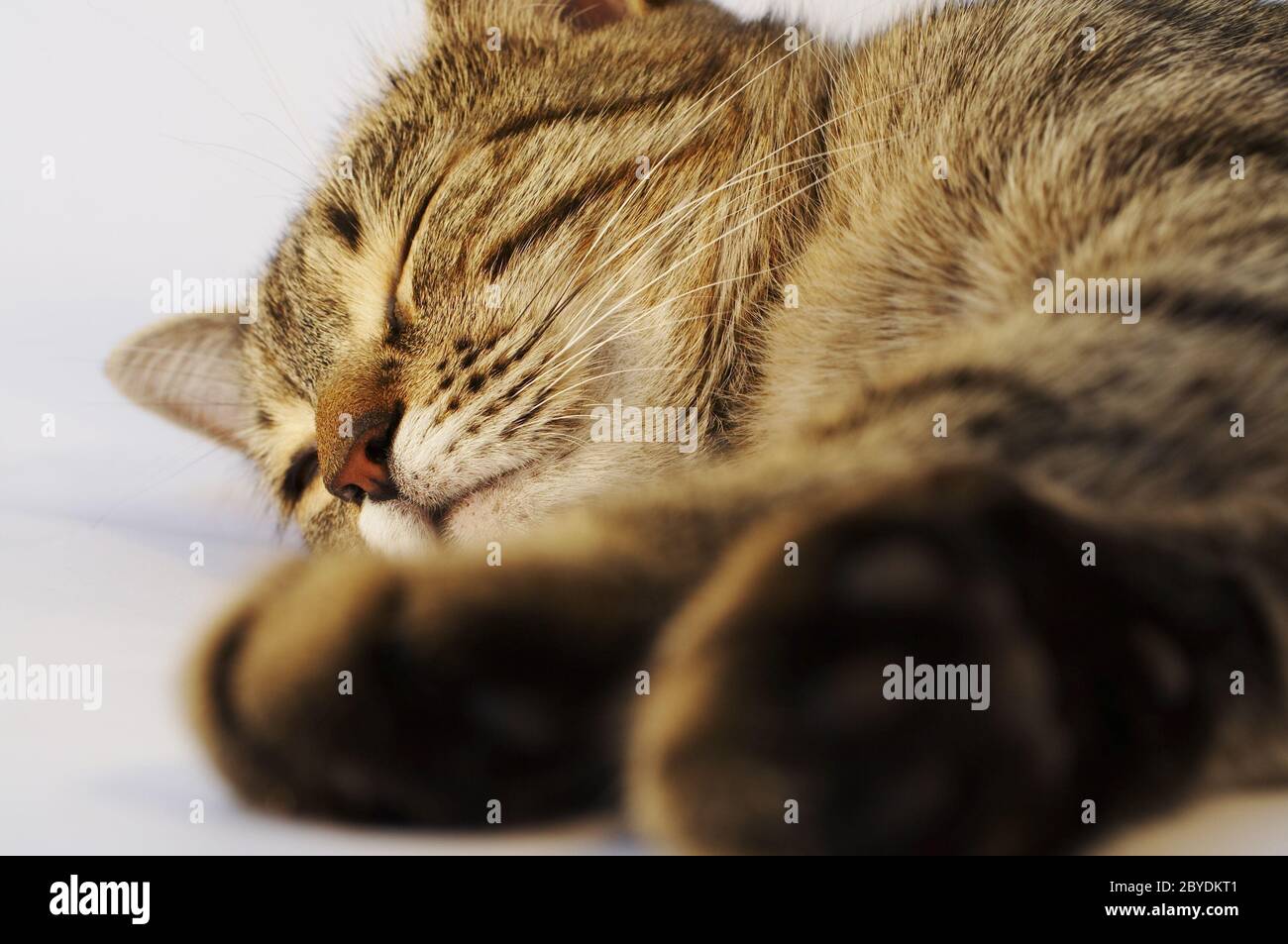 Sliping hi-res stock photography and images - Alamy