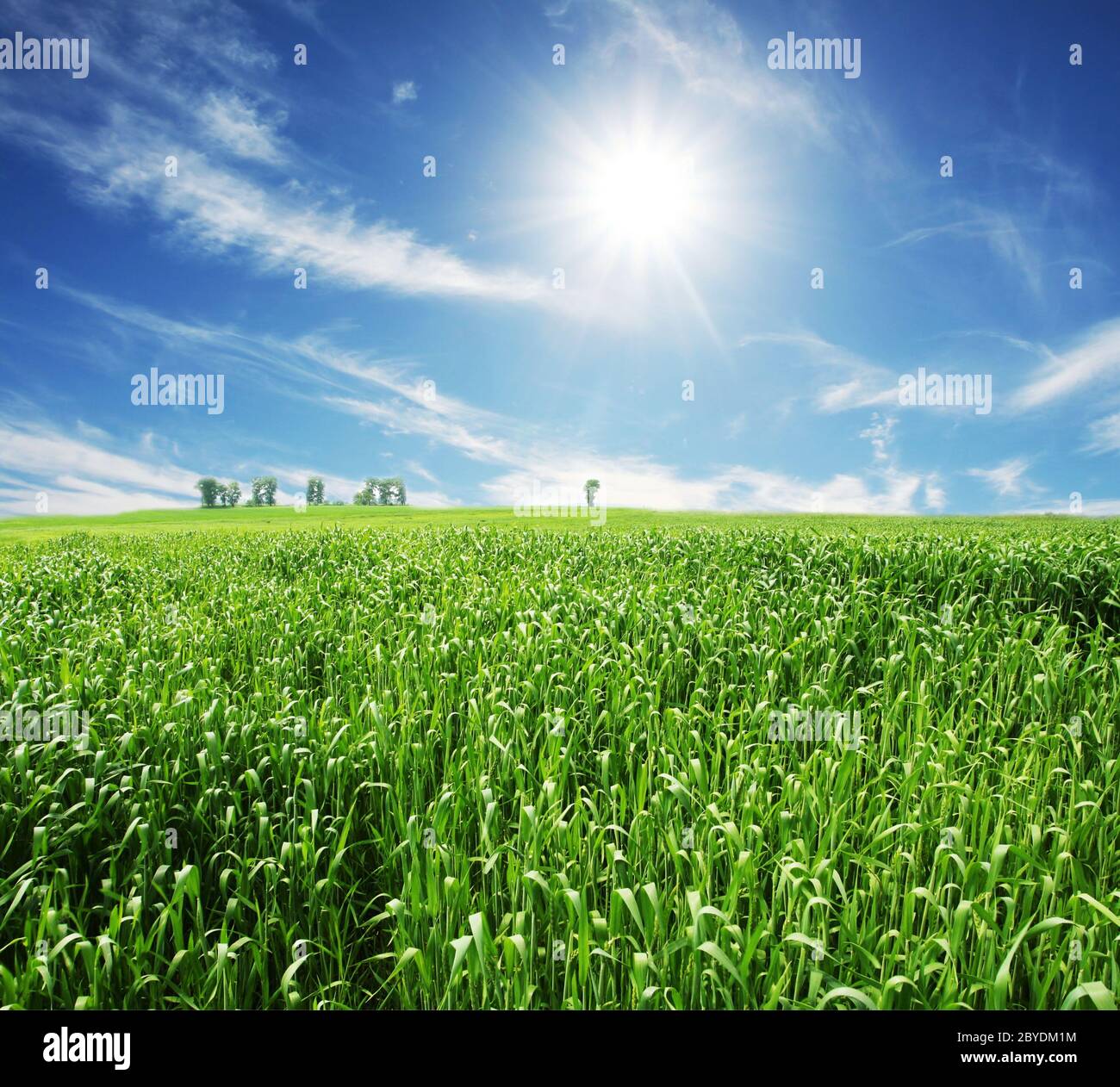 Field and sky Stock Photo - Alamy