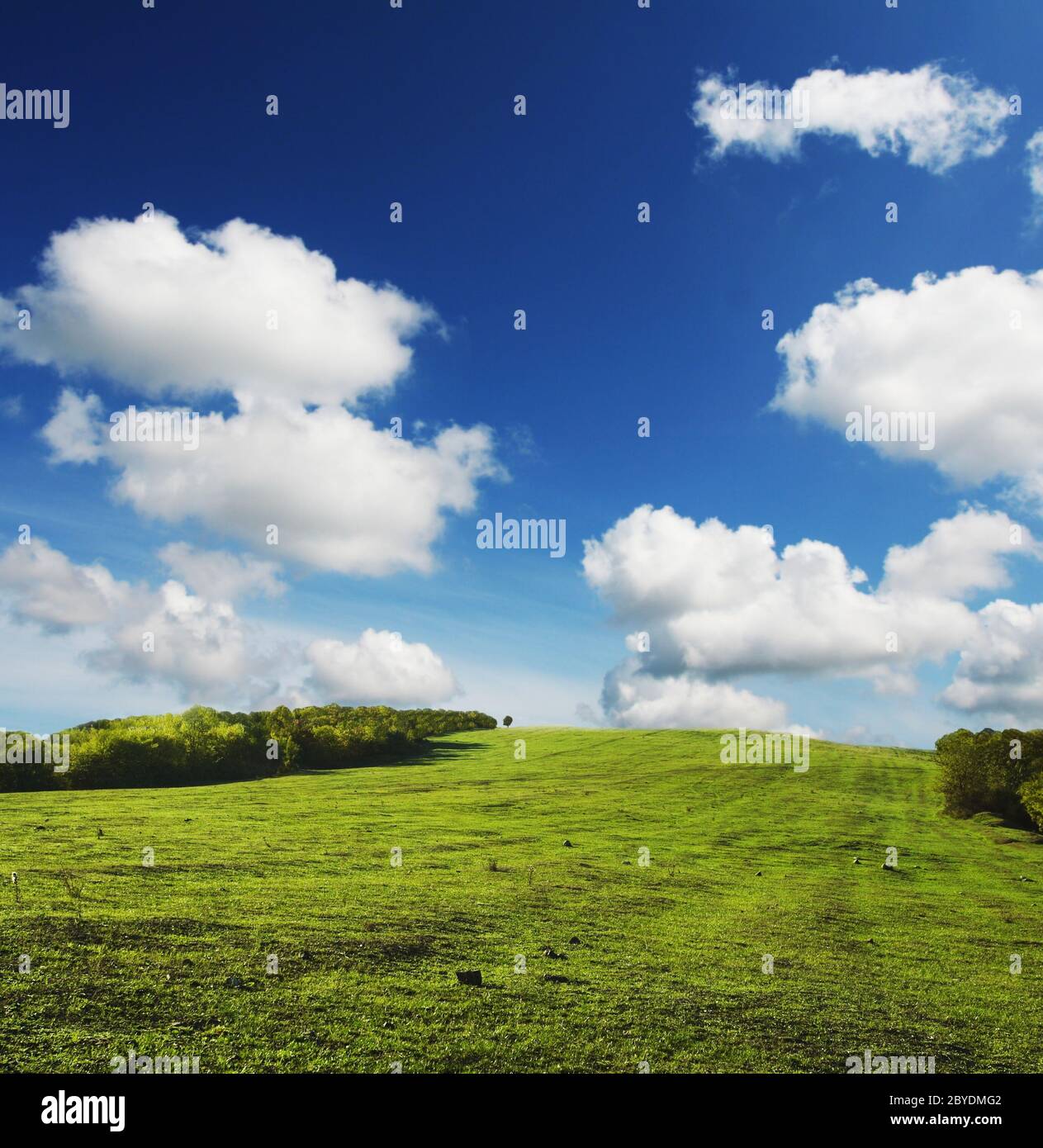 Sunny grassland hi-res stock photography and images - Alamy