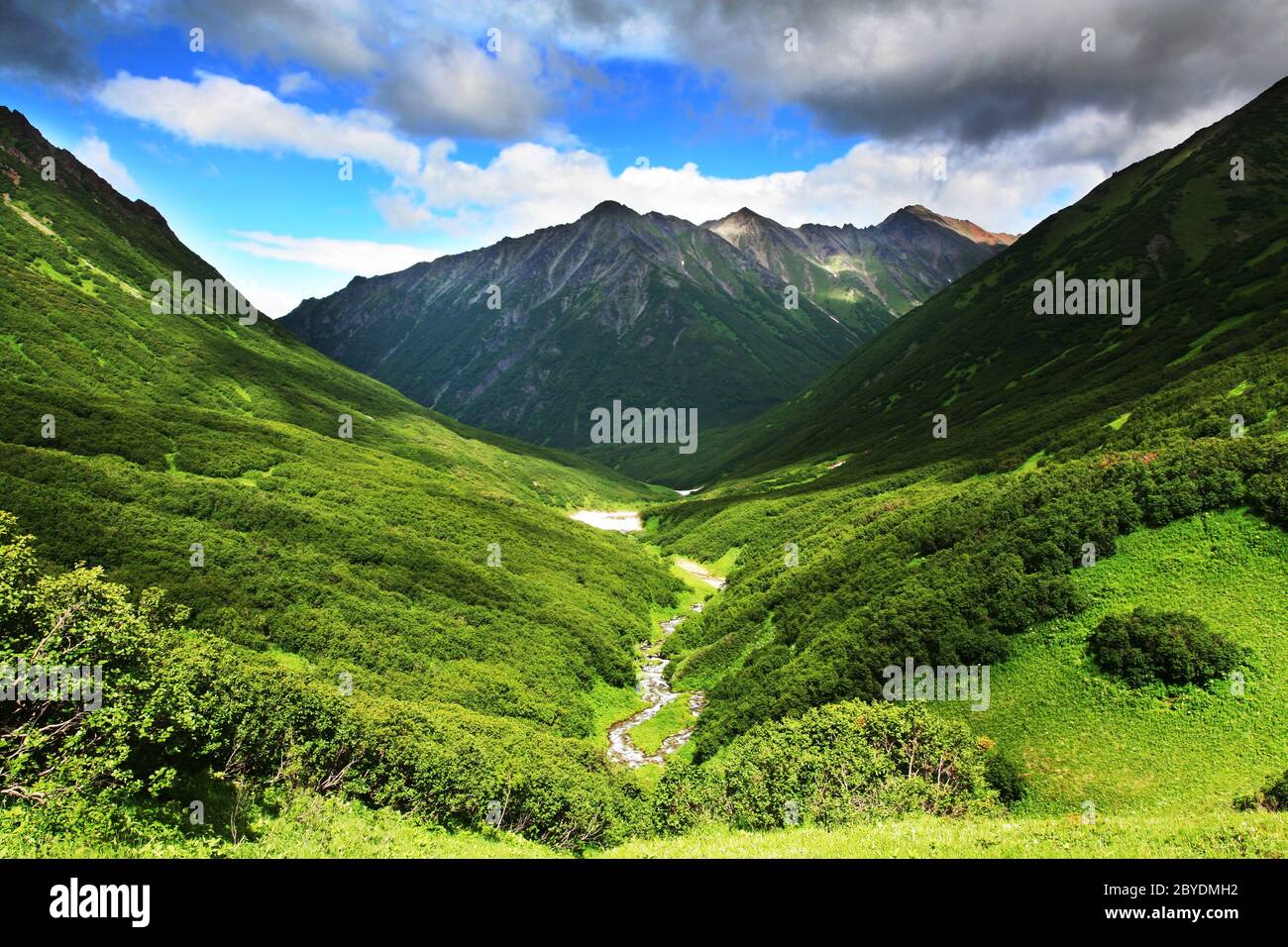 Swift hills hi-res stock photography and images - Alamy