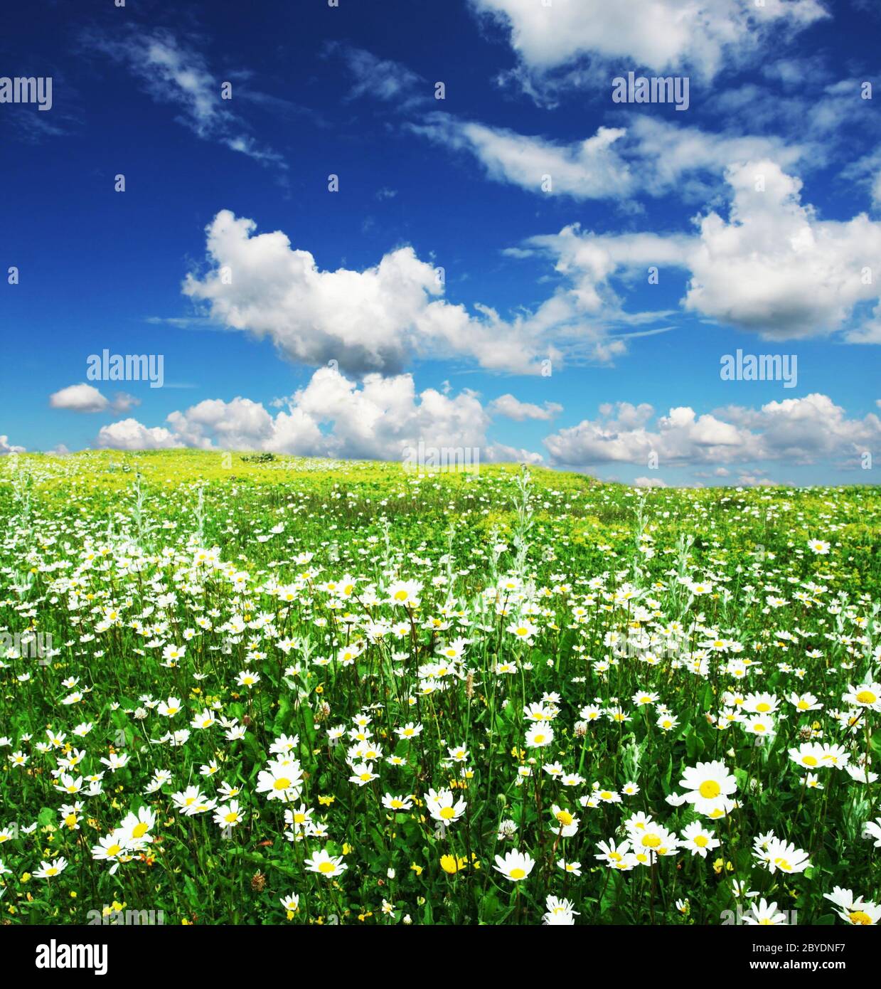 Green country ok hi-res stock photography and images - Alamy