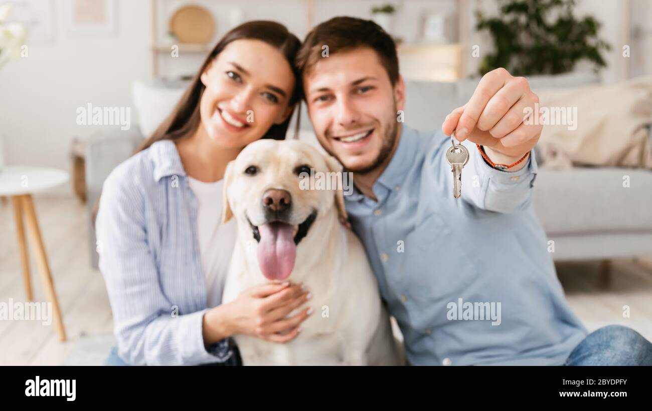 Dog keys hi-res stock photography and images - Alamy