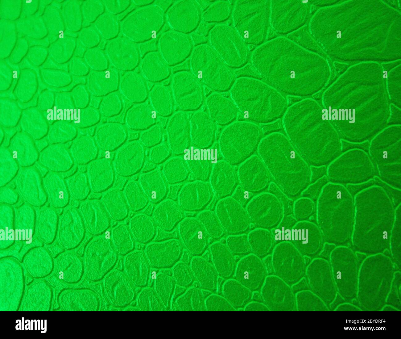 light green texture background for graphic design and web design Stock ...