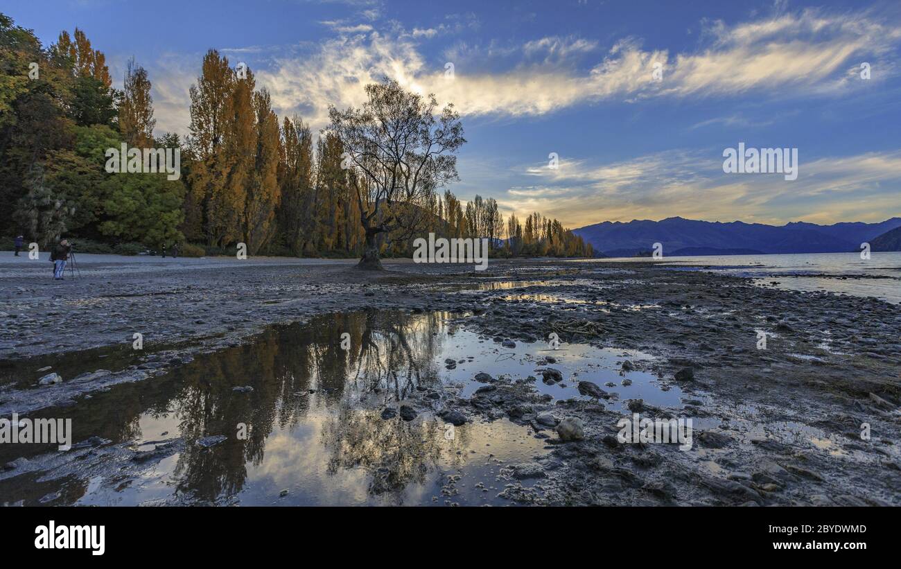 The mirror reflection of Lake Wanaka New Zealand Stock Photo - Alamy