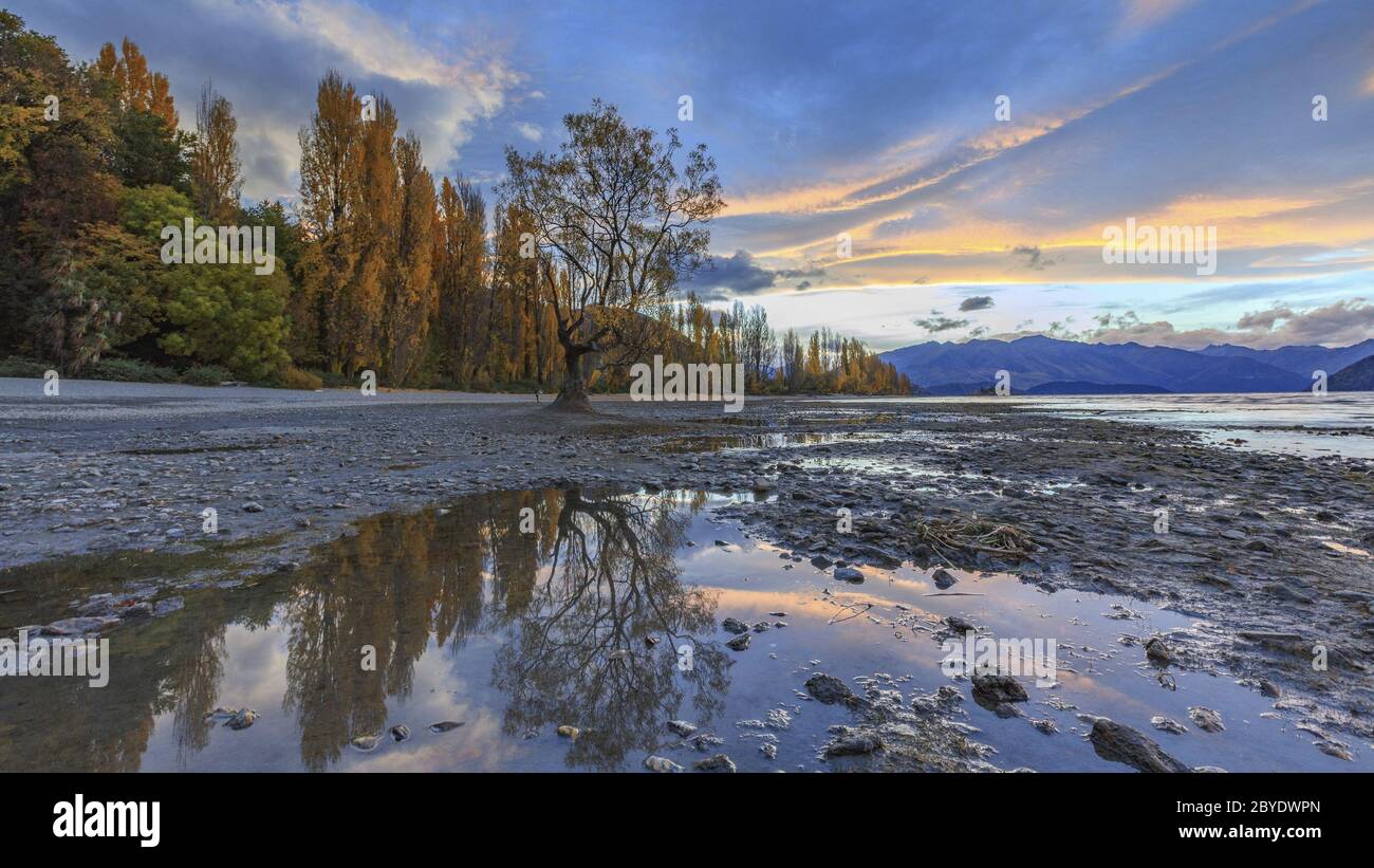 The mirror reflection of Lake Wanaka New Zealand Stock Photo - Alamy