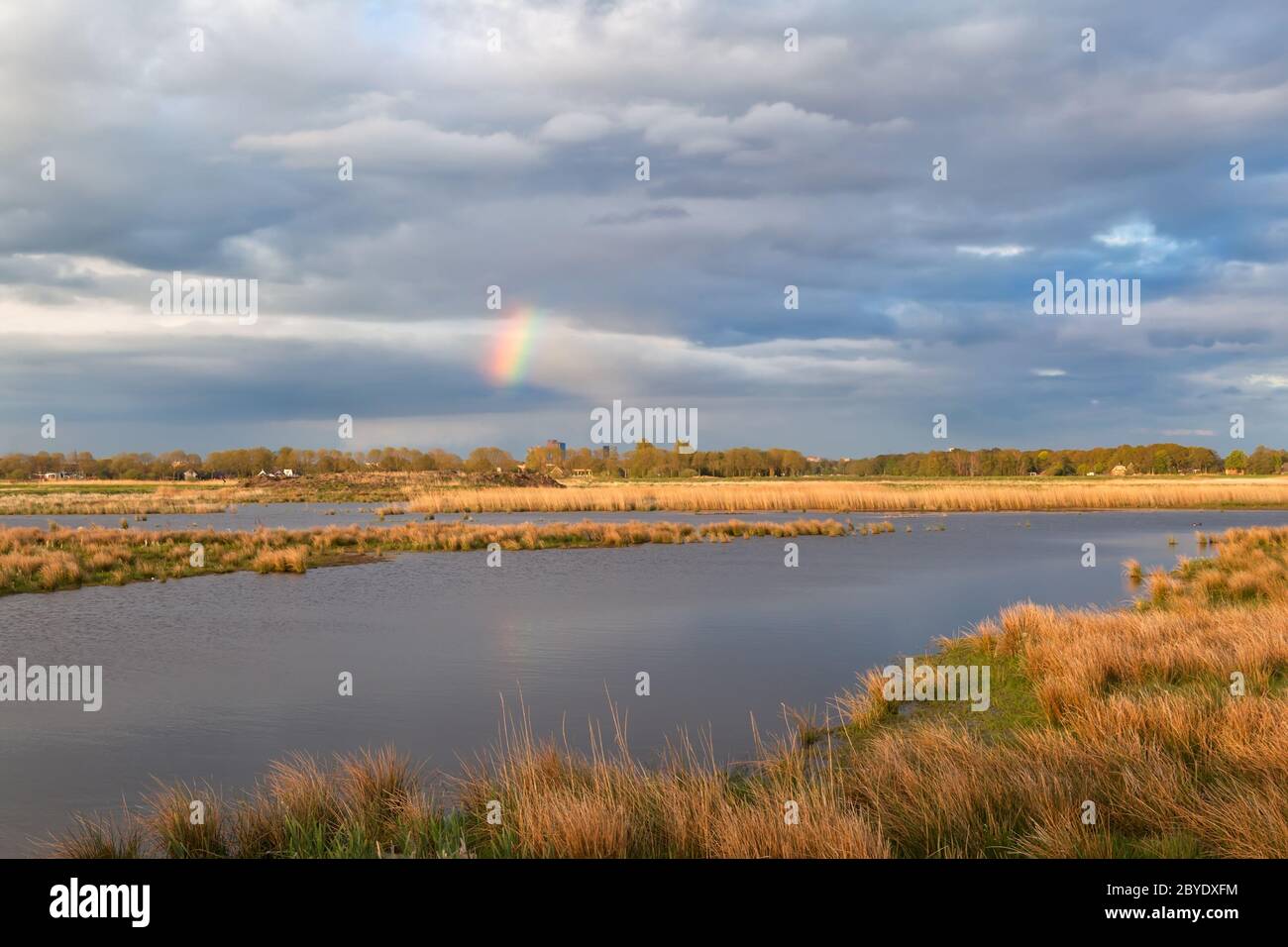 little rainbow over swamp, Netherlands Stock Photo - Alamy
