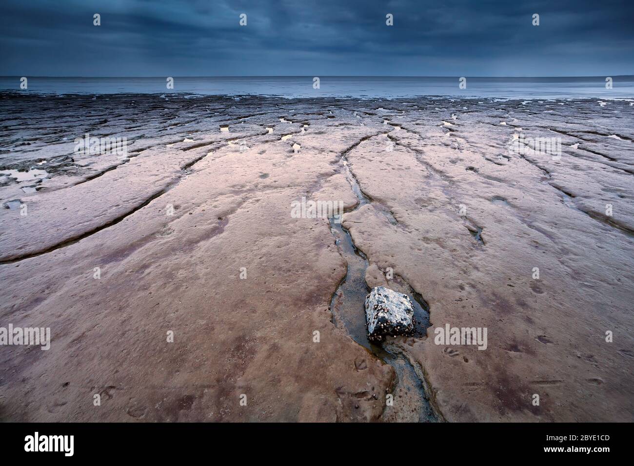 mud texture at low tide on North sea Stock Photo - Alamy