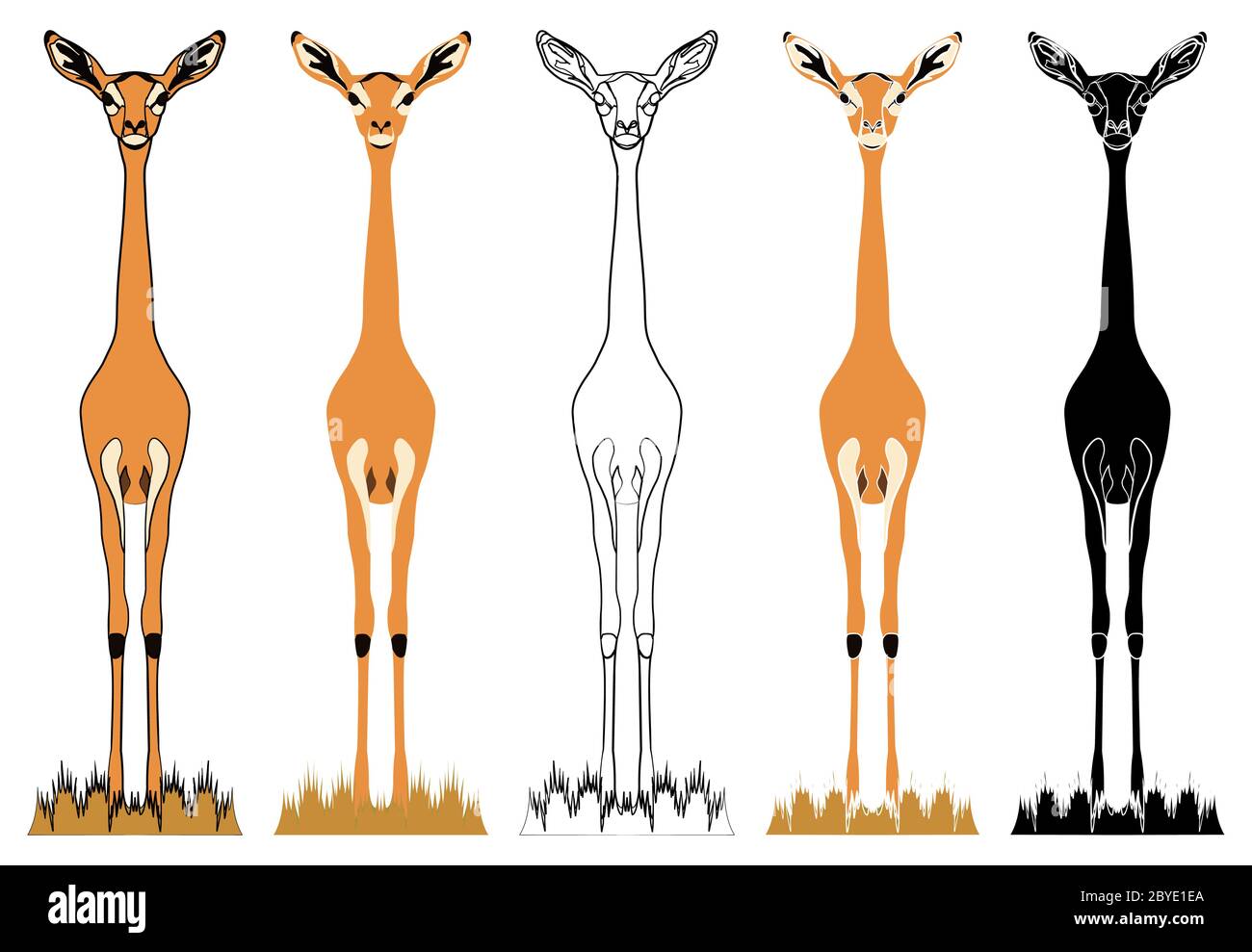 Giraffe necked antelope Stock Vector Images - Alamy