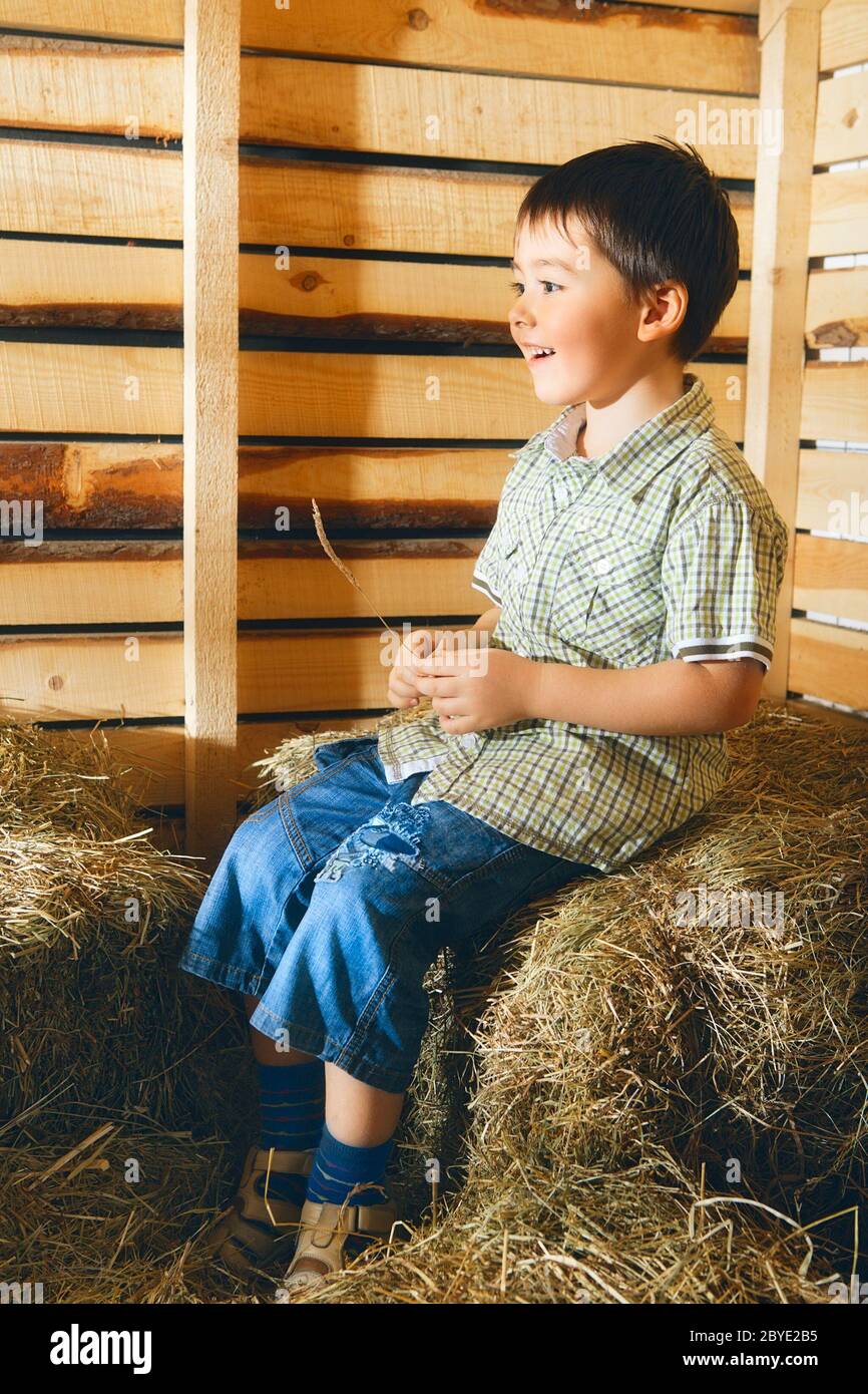 The hayloft hi-res stock photography and images - Alamy