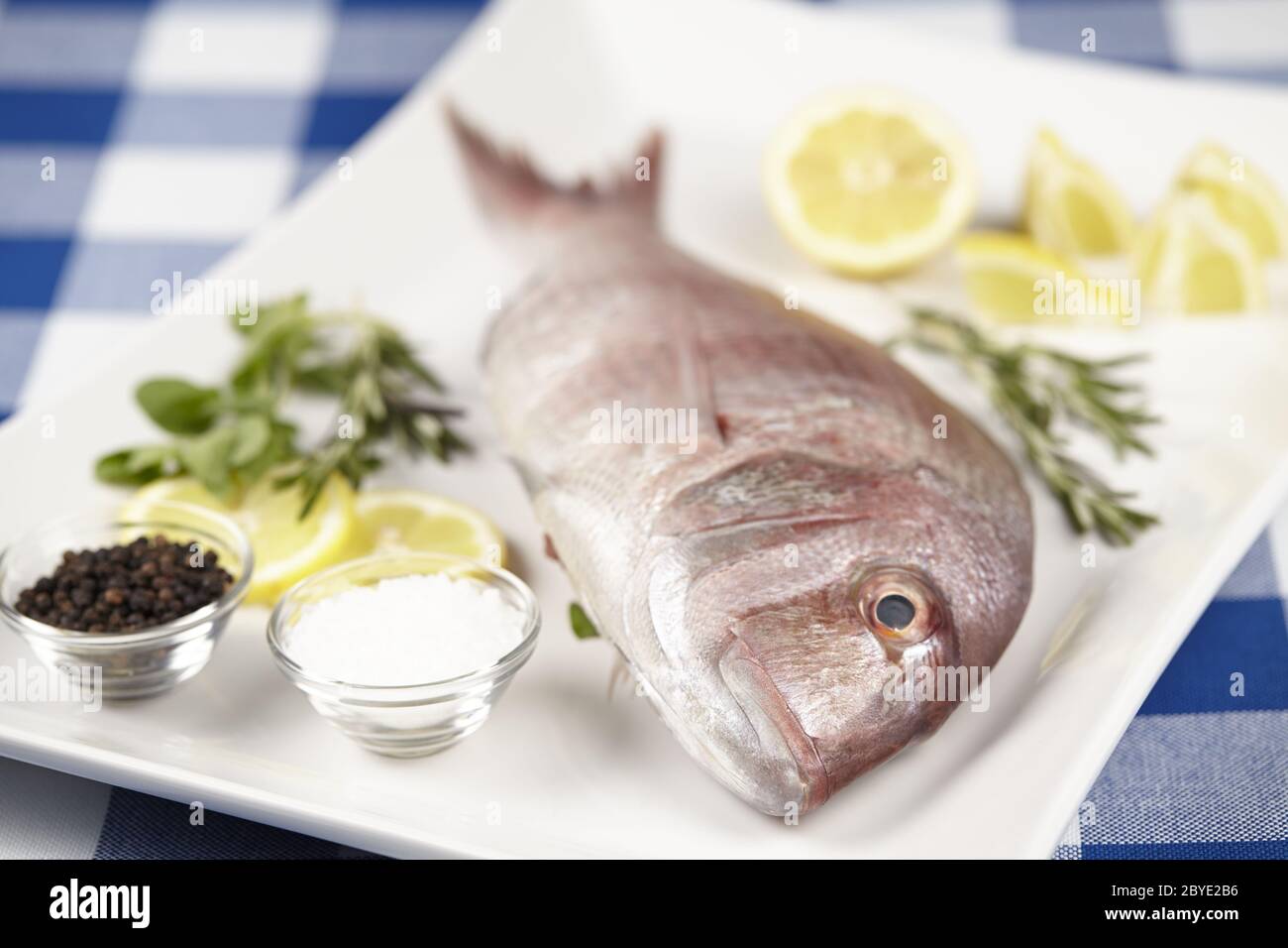 Dorade rose hi-res stock photography and images - Alamy