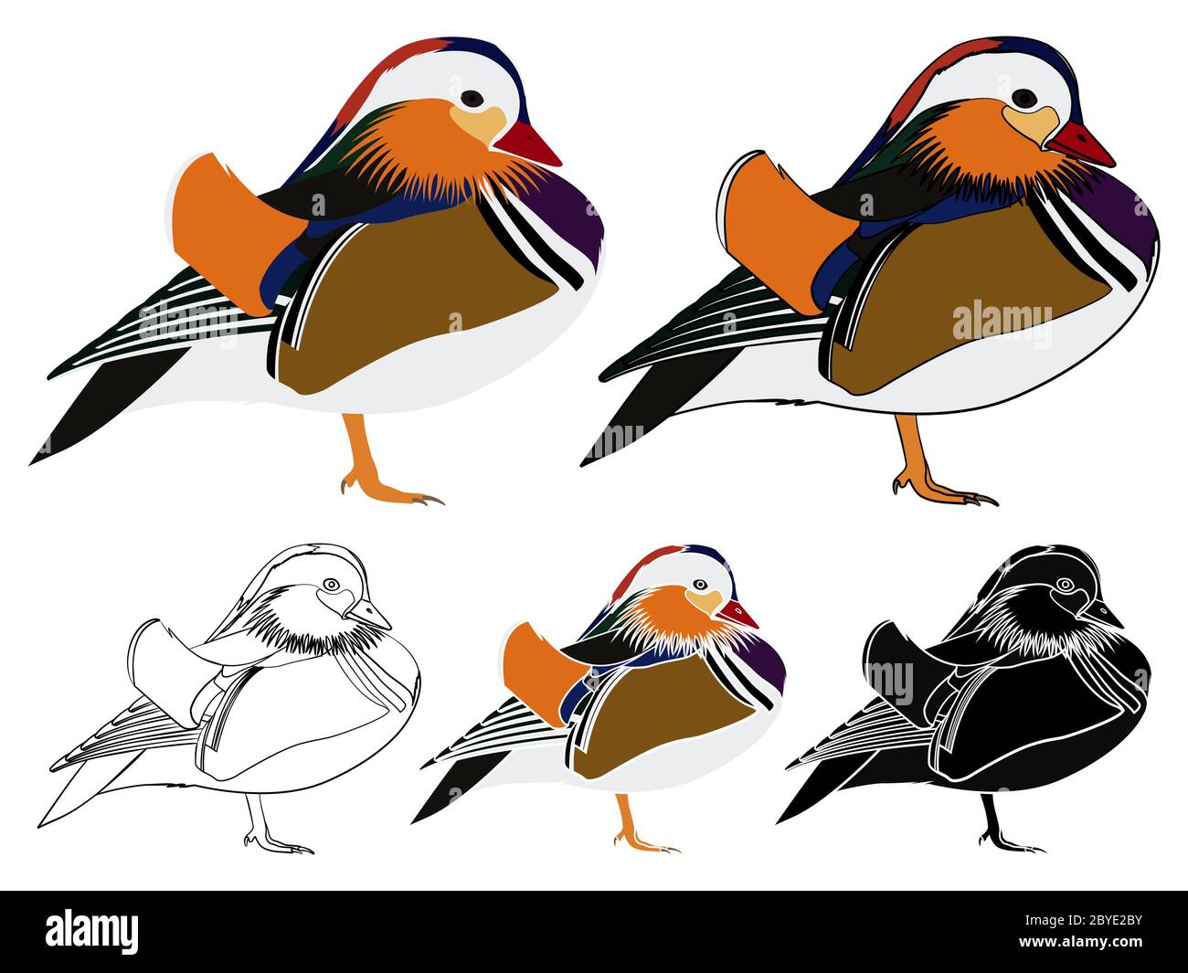 Front view colorful silhouette cartoon Stock Vector Images - Alamy