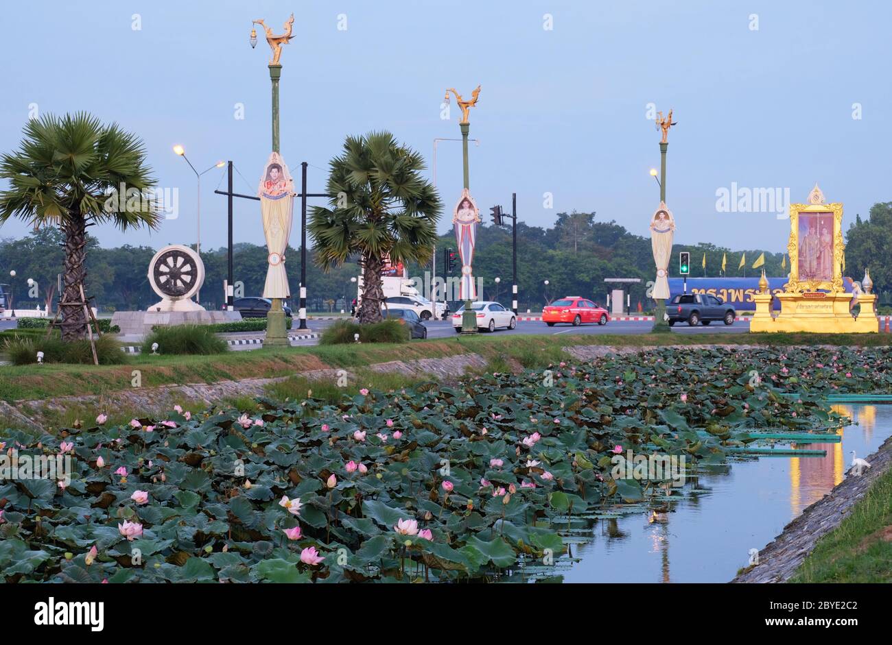 Pond with lotus field beside a traffic road Stock Photo - Alamy