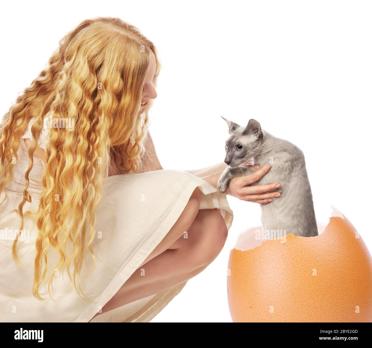 Cat Hatched From Egg Stock Photo - Alamy