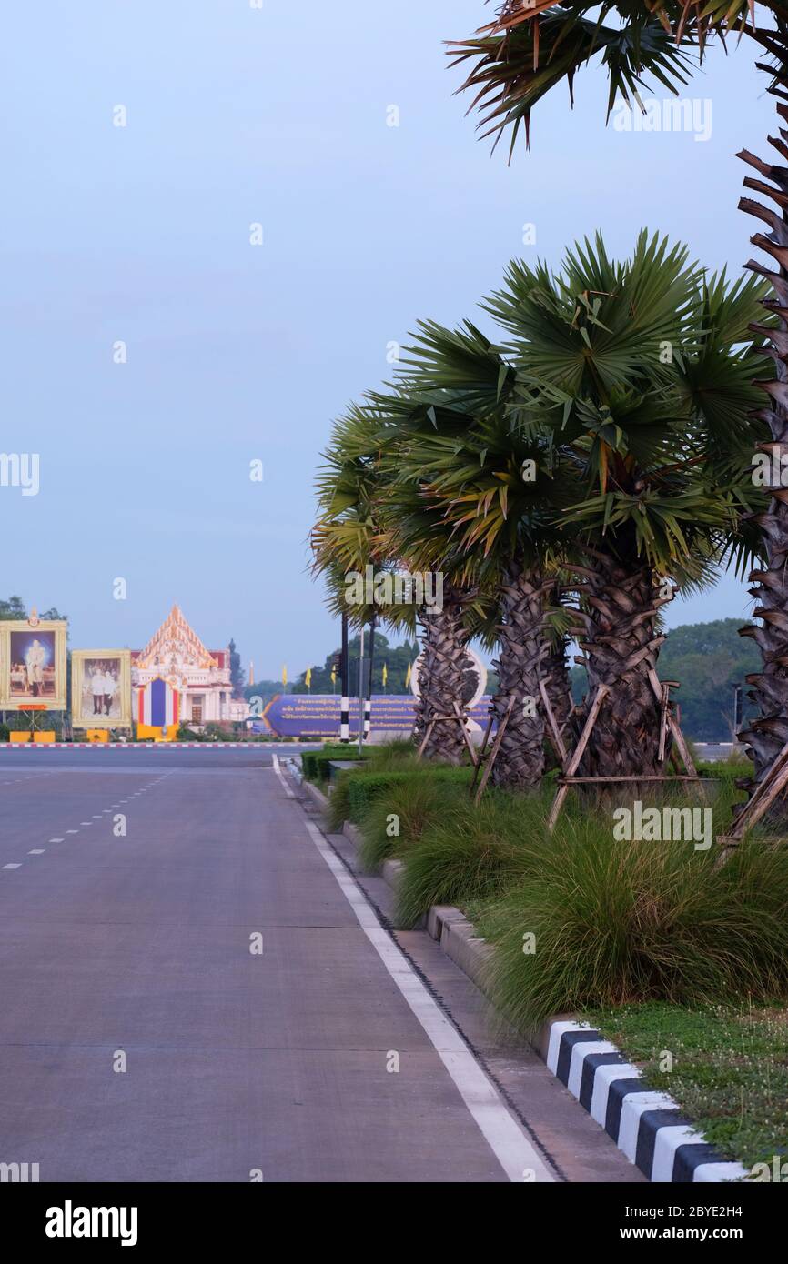 Road with palm trees Stock Photo - Alamy