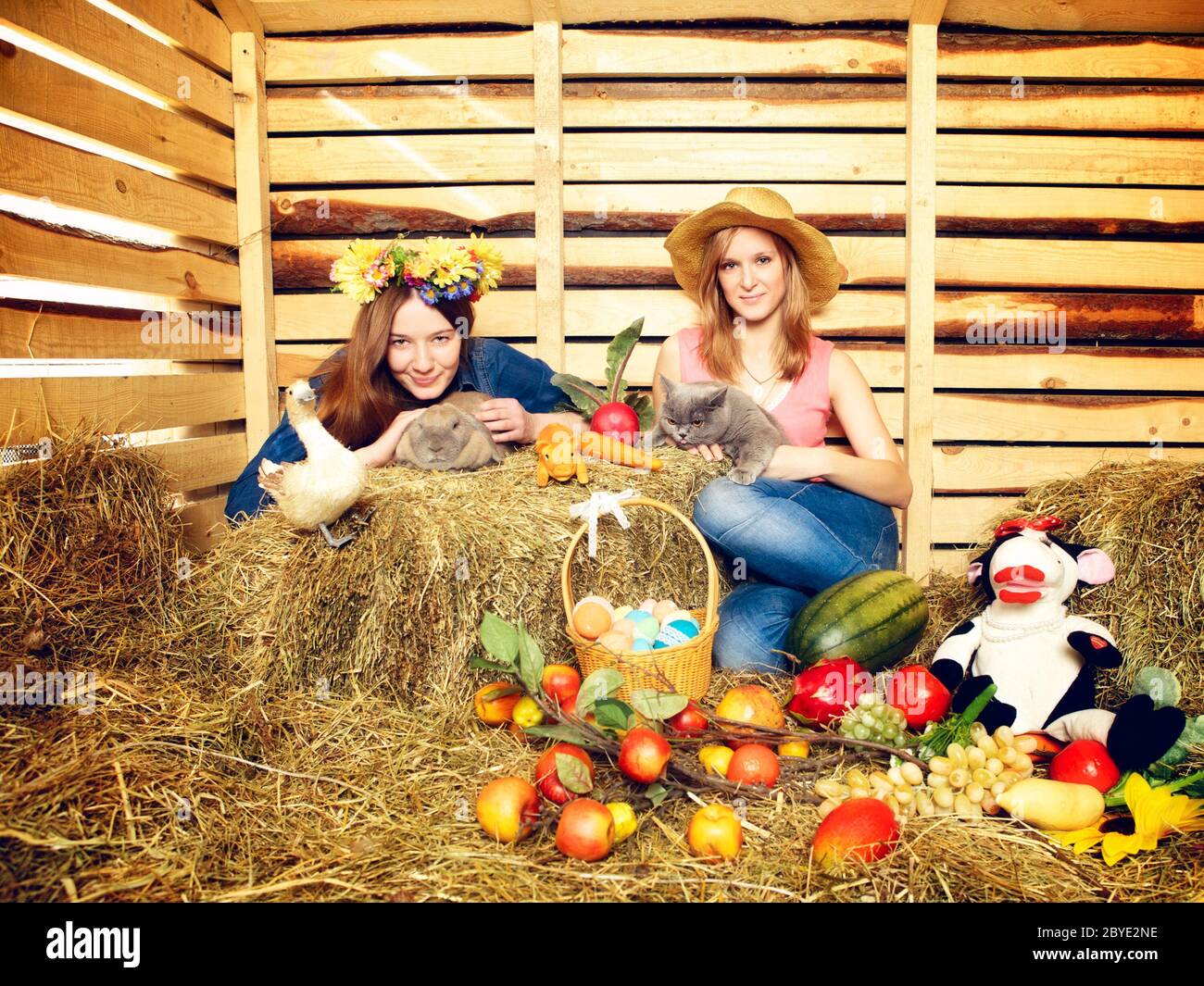 Home harvest hi-res stock photography and images - Alamy