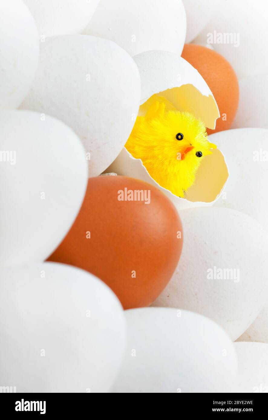 Chicken pocket hi-res stock photography and images - Alamy