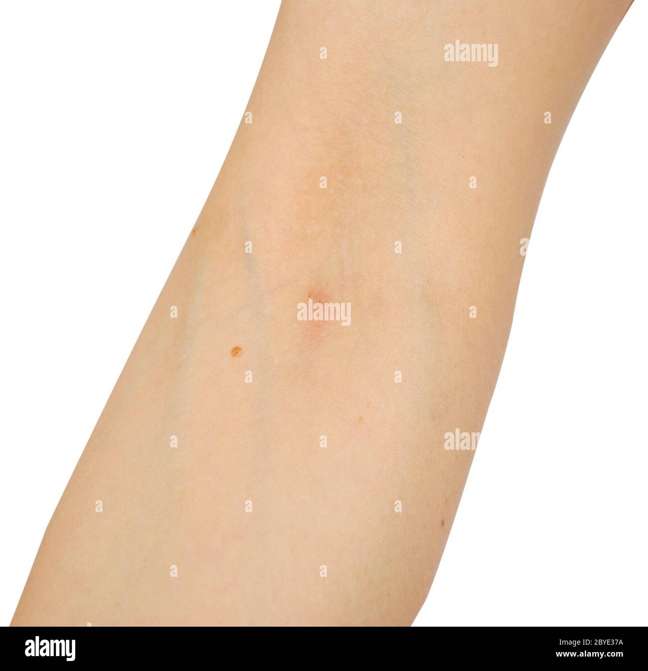 Human arm cut out hi-res stock photography and images - Alamy
