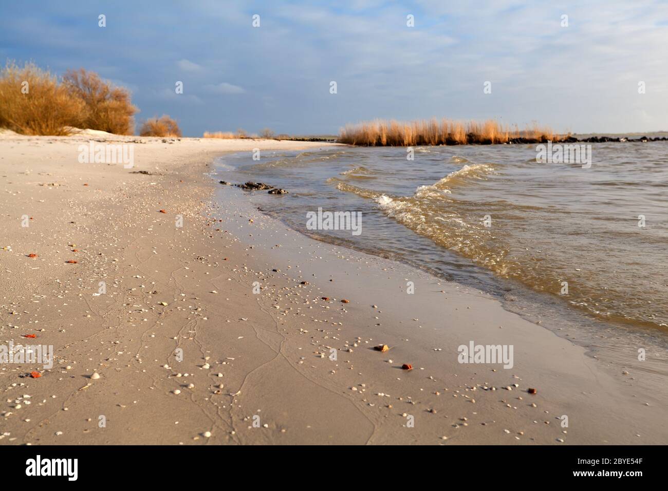sand beach on North sea, Hindeloopen Stock Photo - Alamy