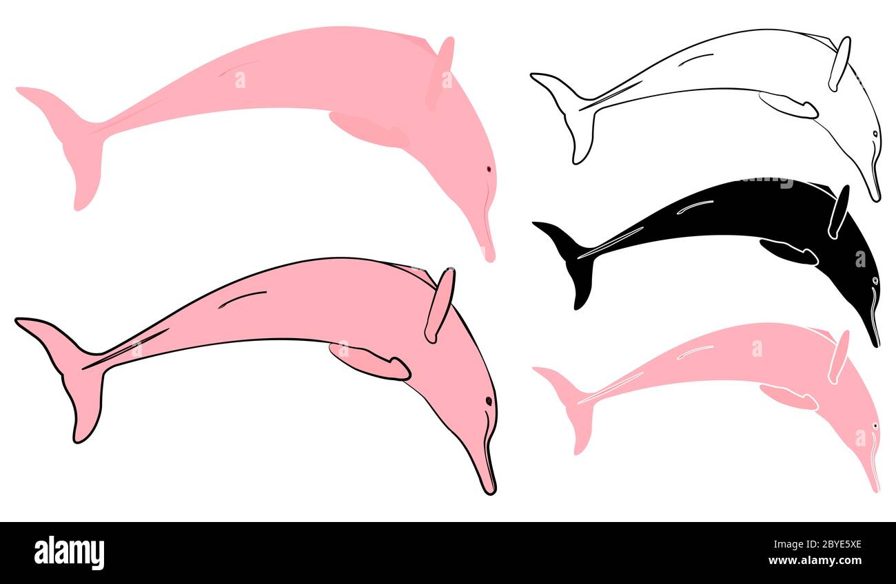 Boto Cut Out Stock Images & Pictures - Alamy