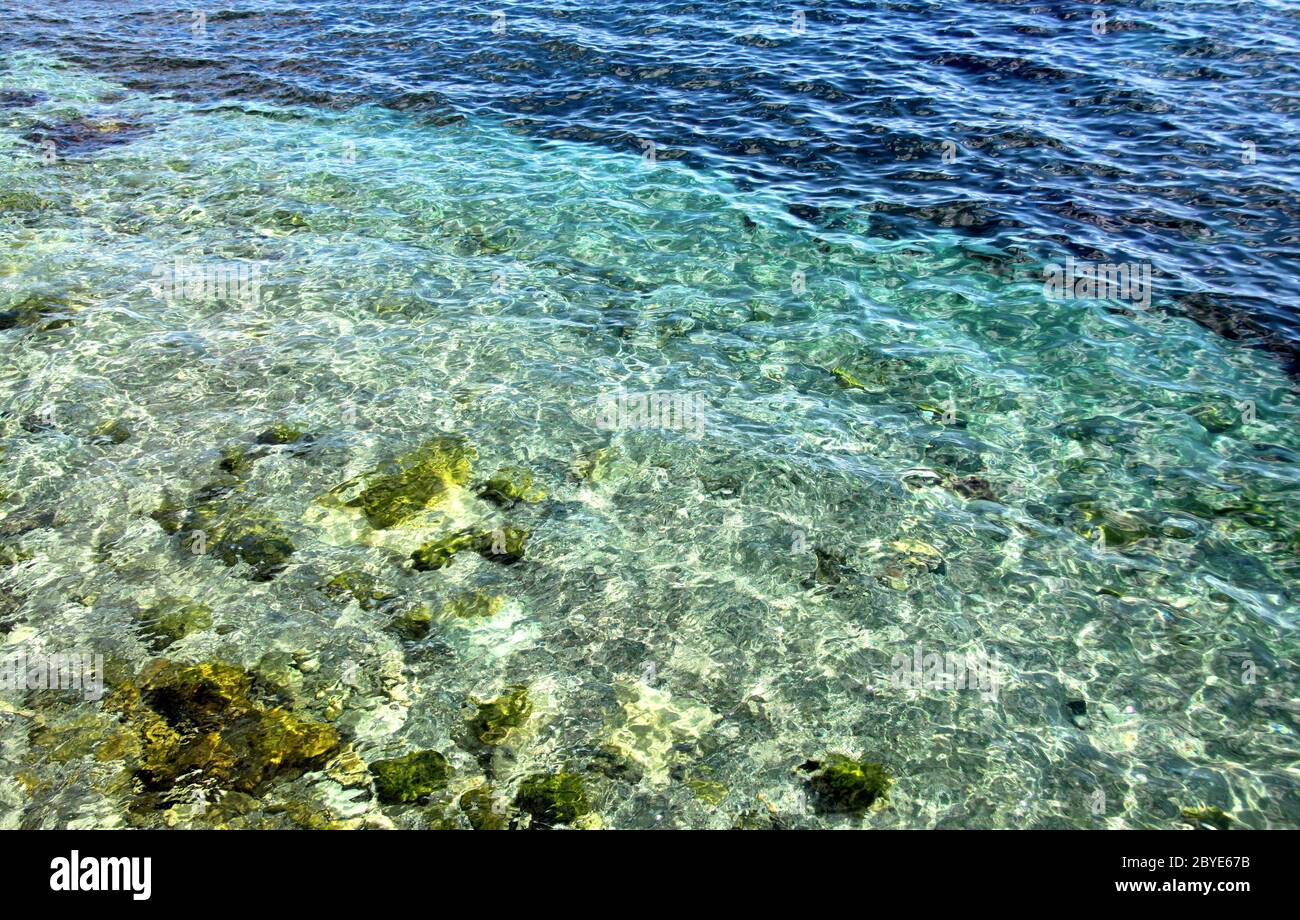 Clear beautiful sea water Stock Photo - Alamy