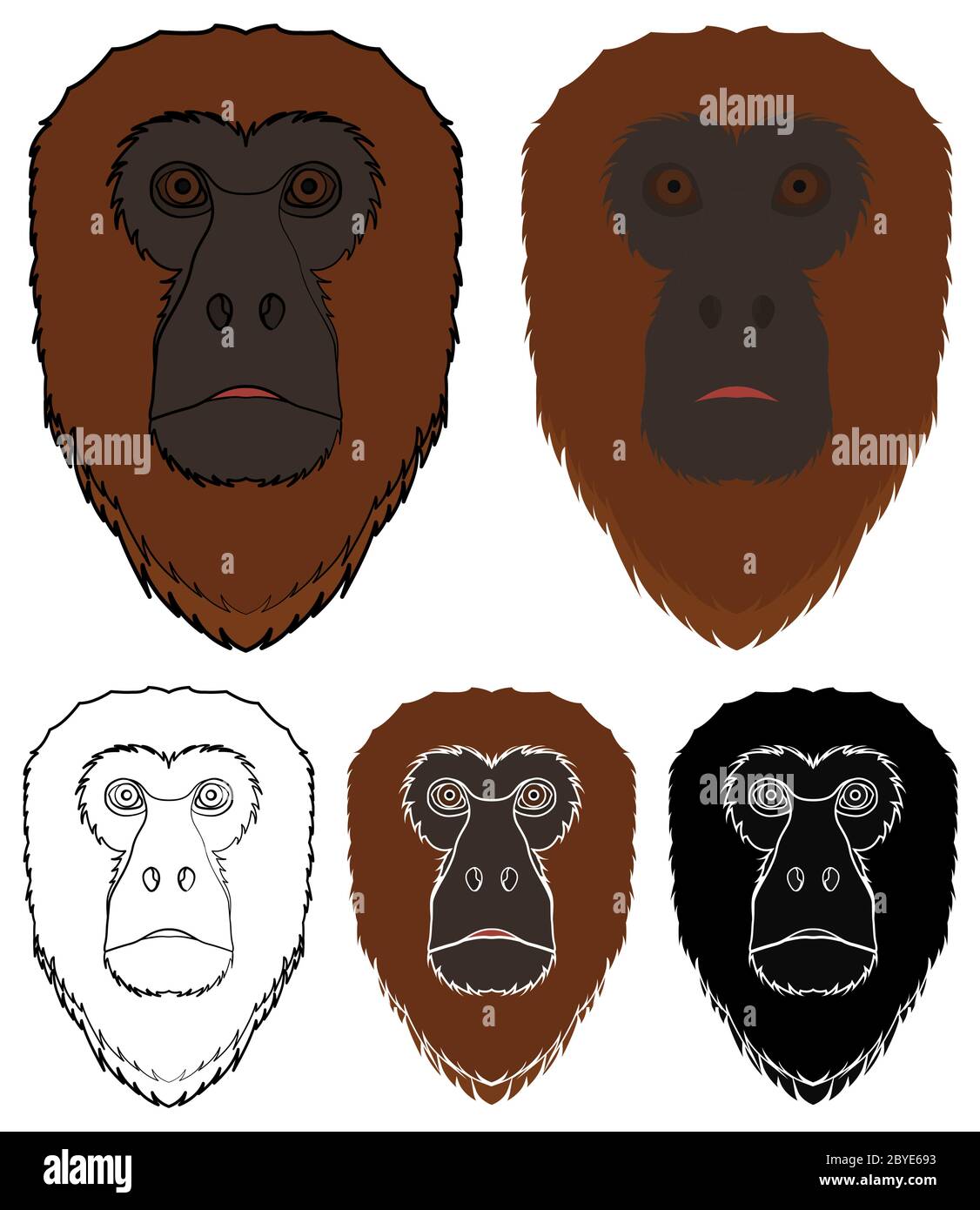 Black howler monkey illustration hi-res stock photography and images ...