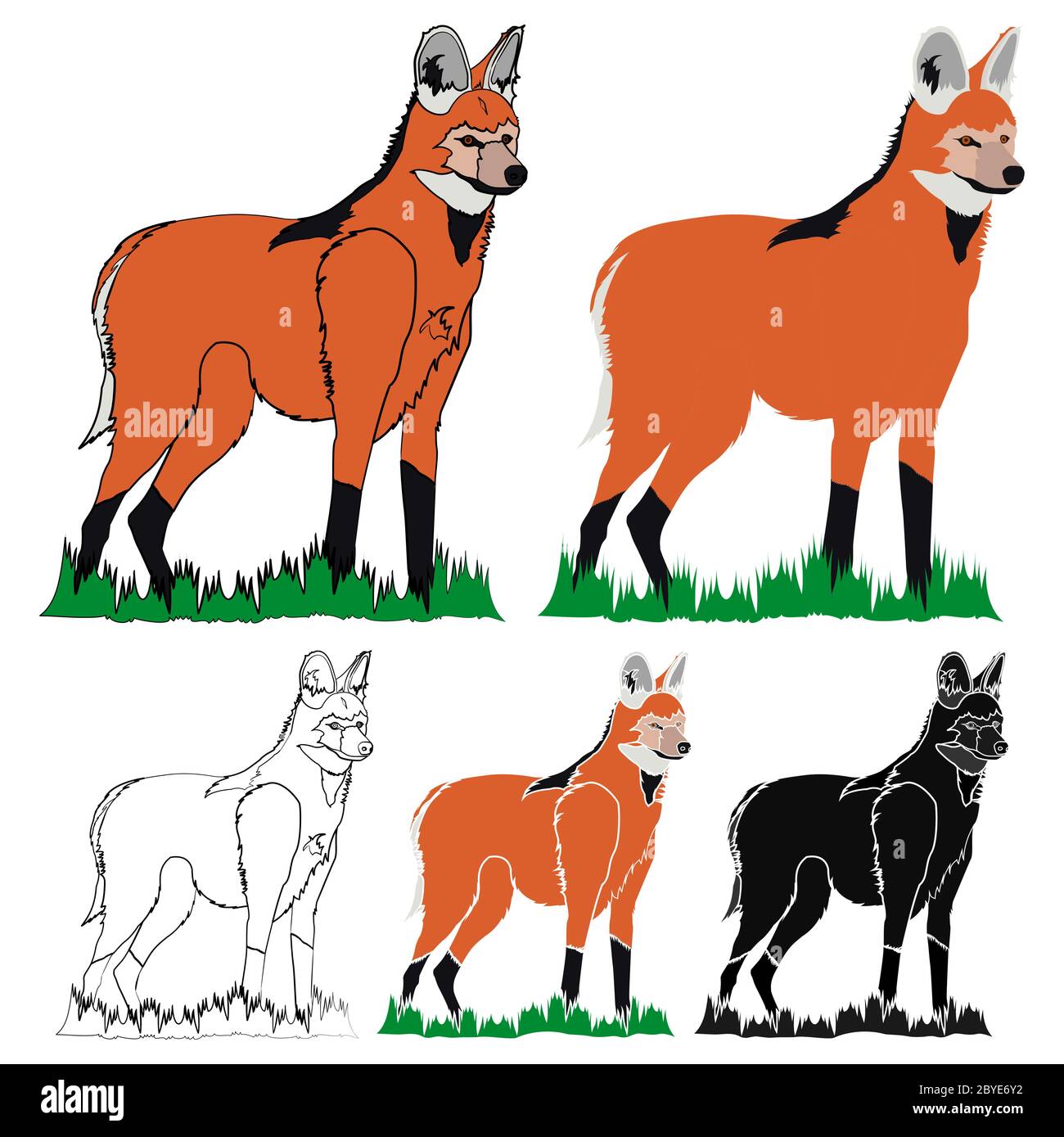 Guara Stock Vector Images - Alamy