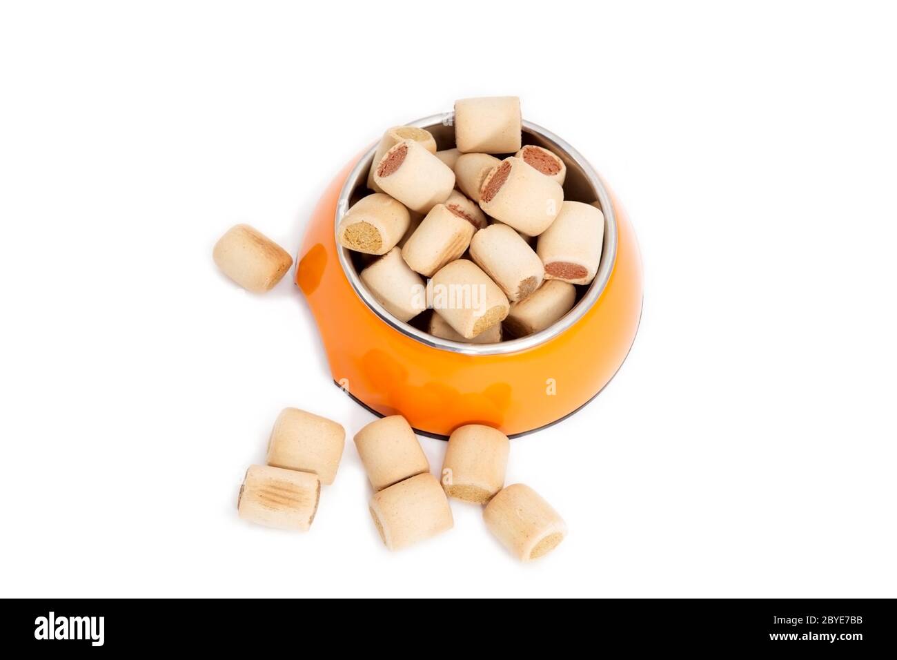 Dogs in training Cut Out Stock Images & Pictures - Alamy