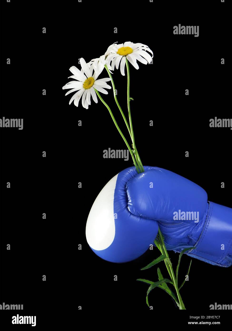 Hand boxing glove hi-res stock photography and images - Alamy