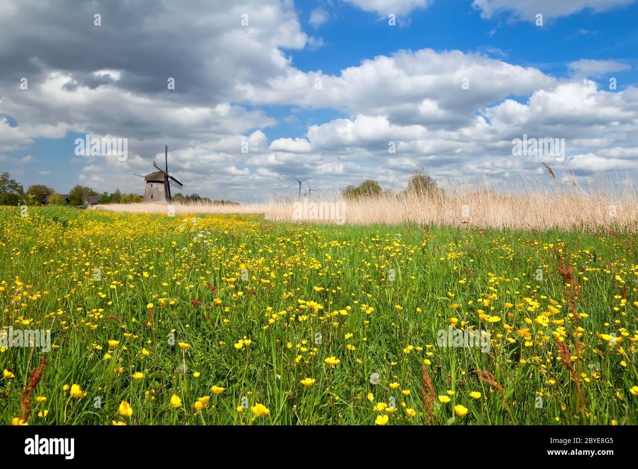 Yellow windmill hi-res stock photography and images - Alamy