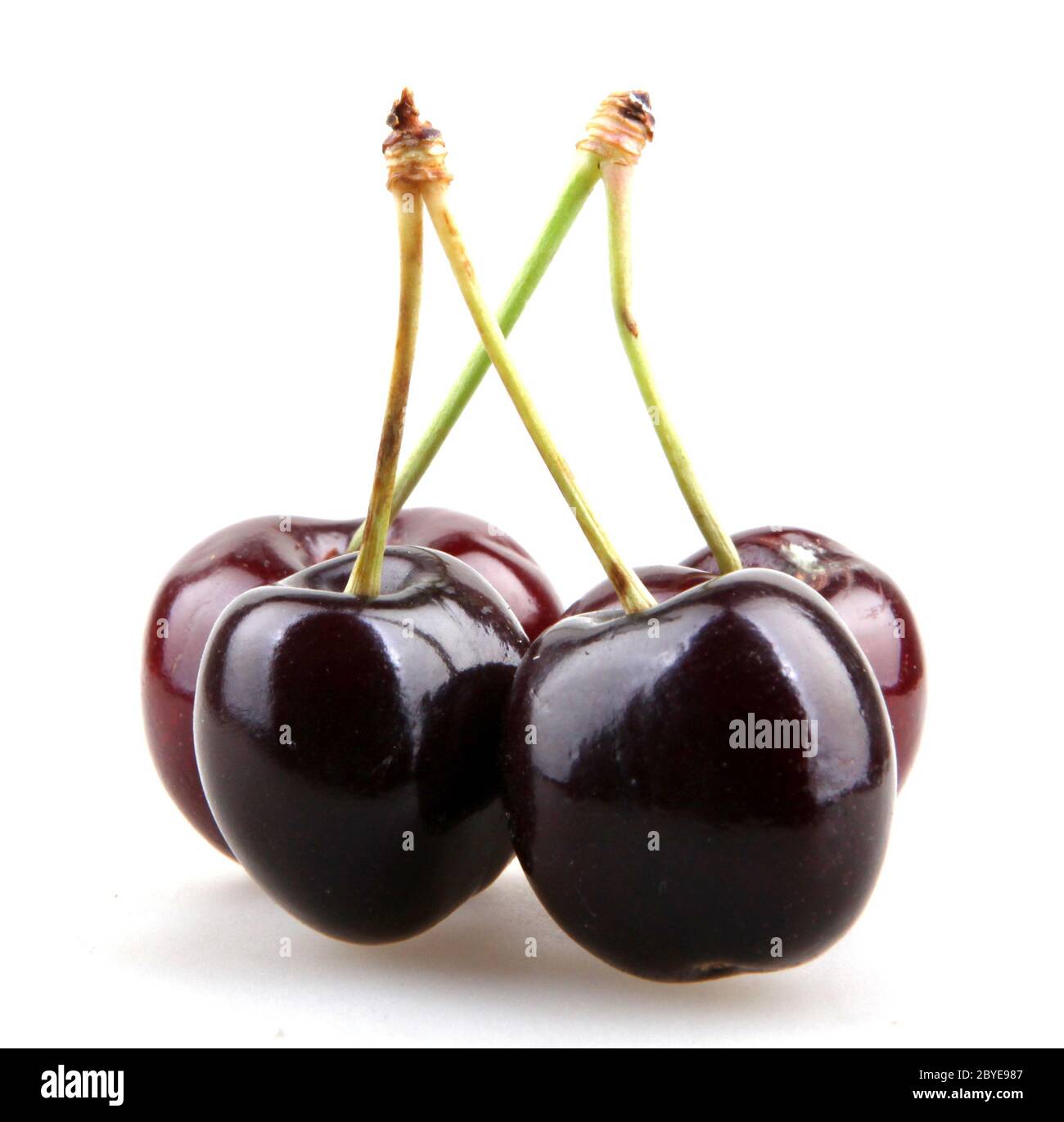 Japanese cherry blossom trees Cut Out Stock Images & Pictures - Alamy