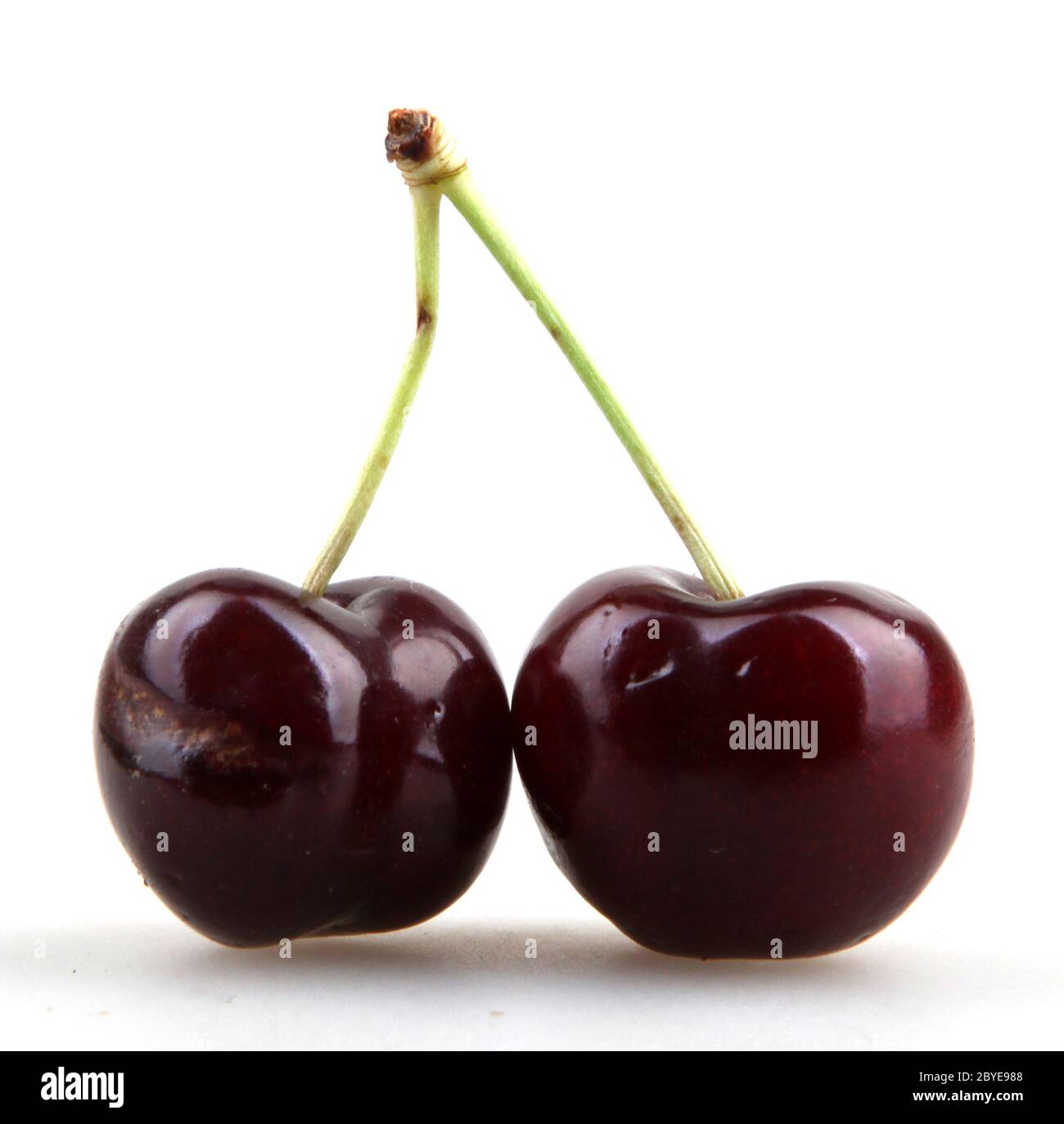 Cherry trees with blossoms Cut Out Stock Images & Pictures - Alamy