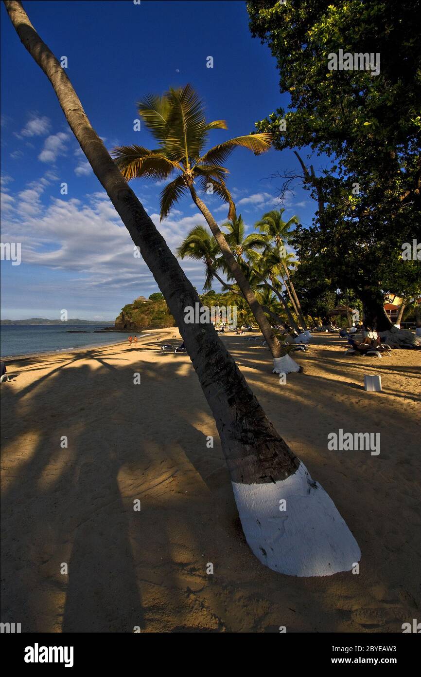 madagascar nosy be sand Stock Photo - Alamy