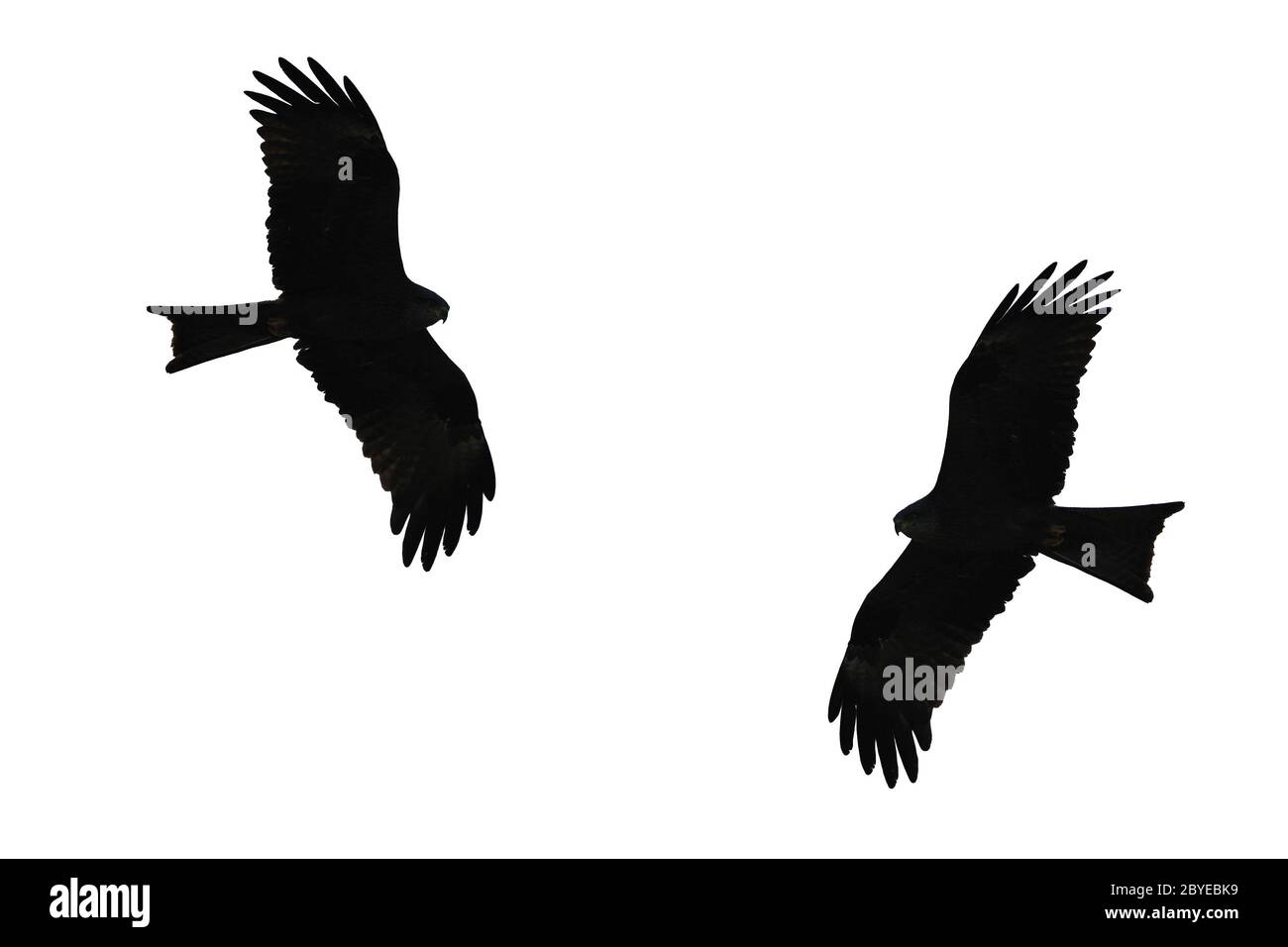 Abbildung silhouette Cut Out Stock Images & Pictures - Alamy