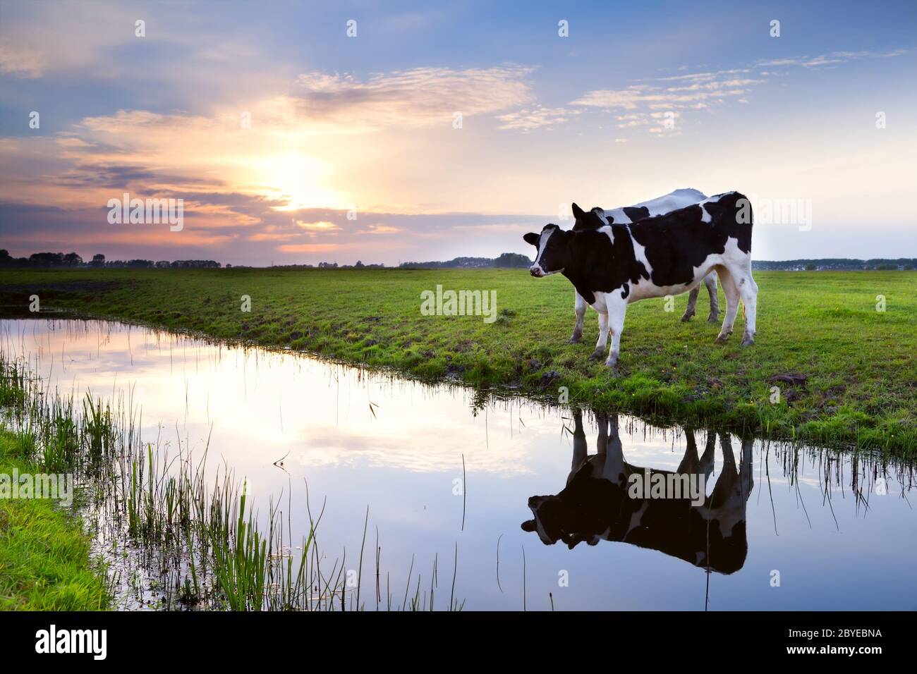 Milk river hi-res stock photography and images - Alamy