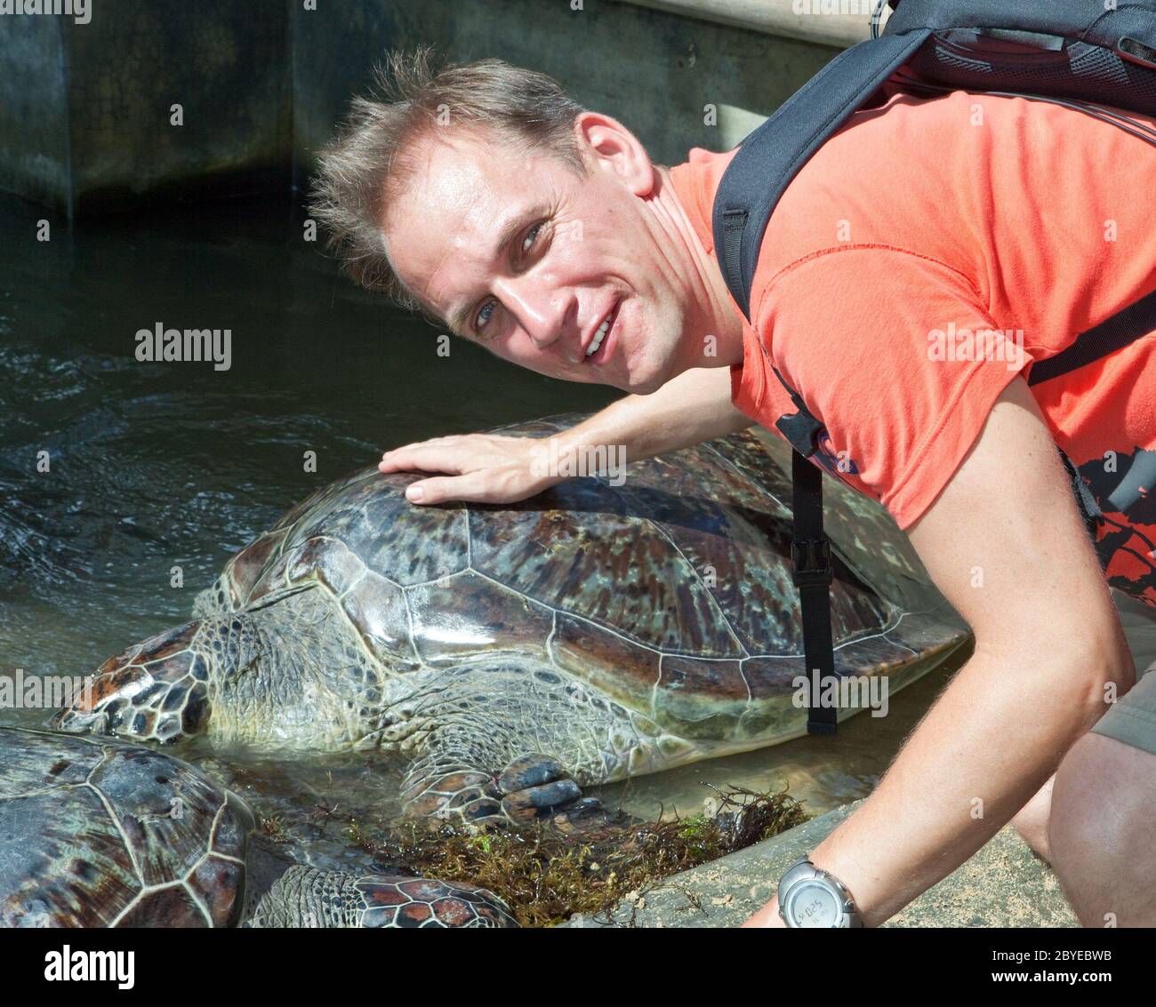 Wildlife armor hi-res stock photography and images - Alamy