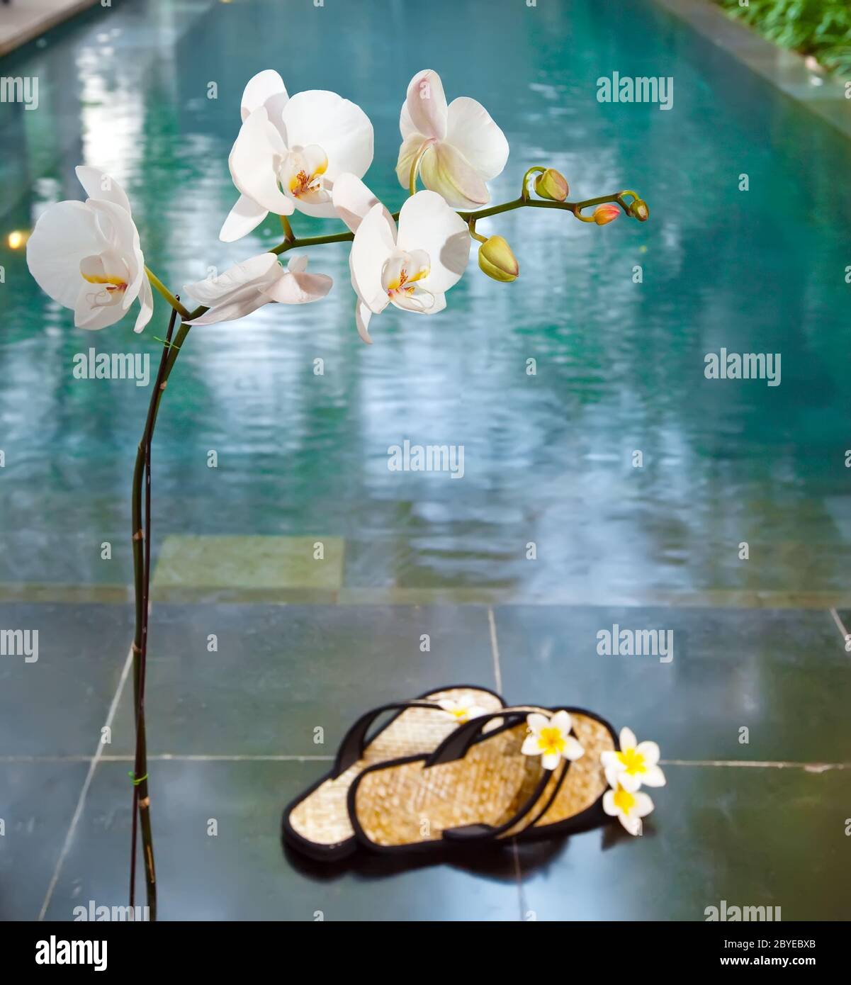 orchid and slippers (out of focus) before pool Stock Photo - Alamy