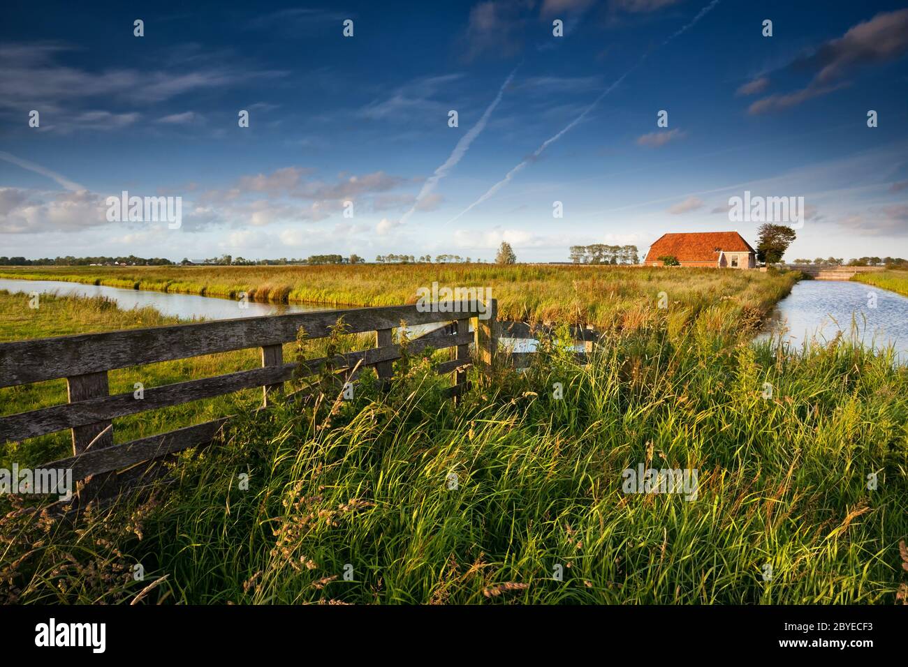 fence and farmhouse in Dutch farmland Stock Photo - Alamy
