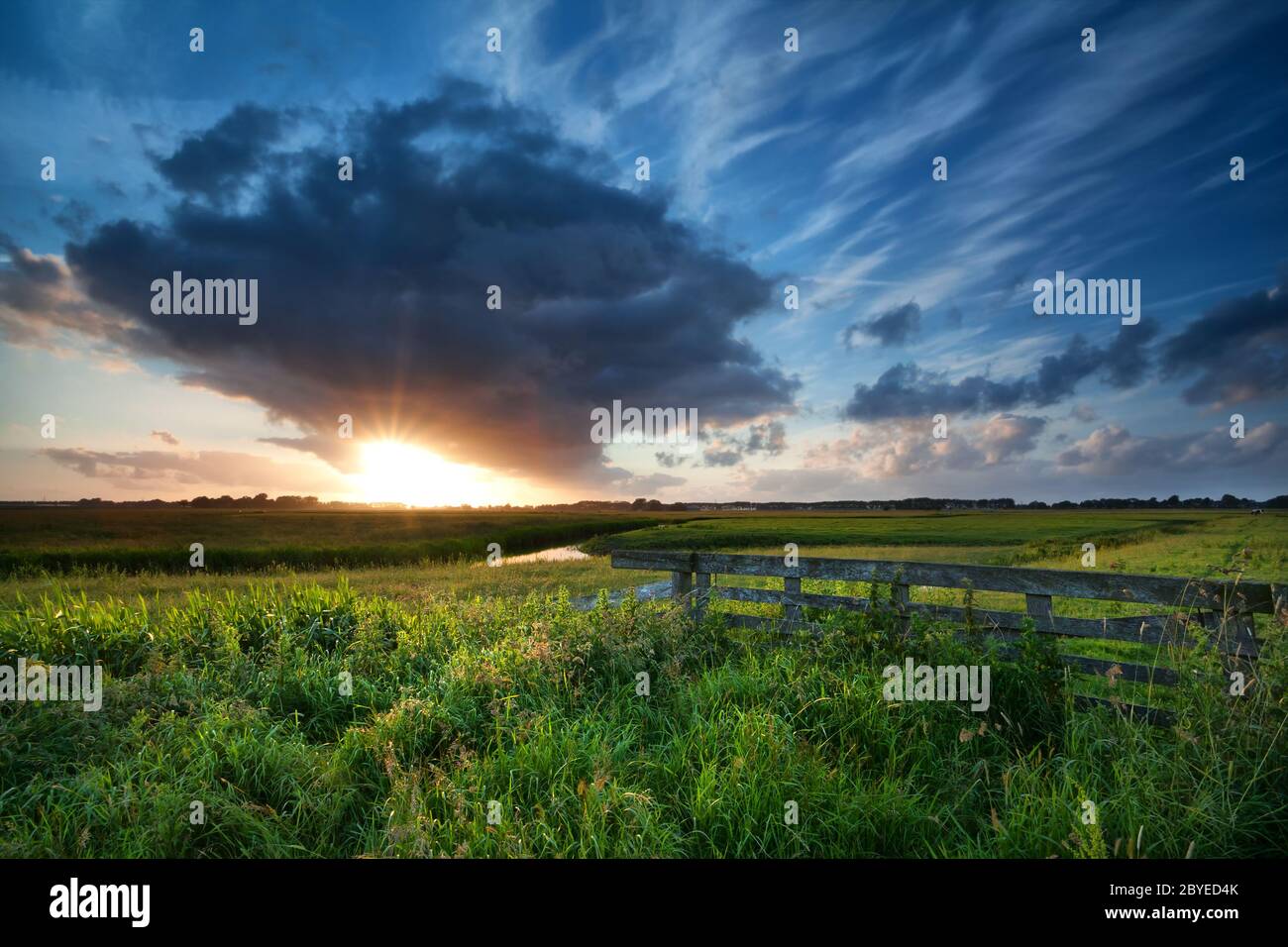 Beautiful meadows hi-res stock photography and images - Alamy