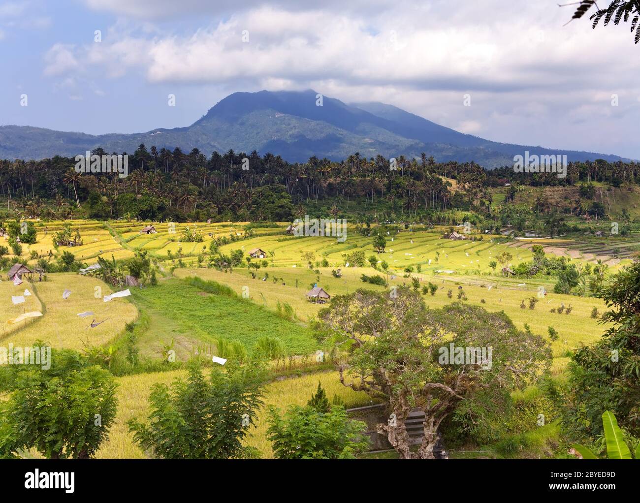 Tropical mountain slope hi-res stock photography and images - Alamy