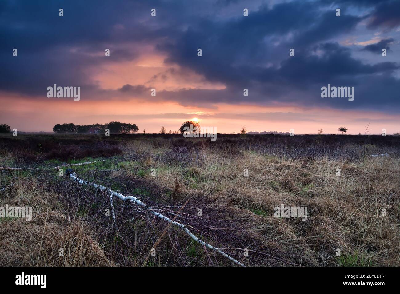 Sunset sunlight over wild hi-res stock photography and images - Alamy
