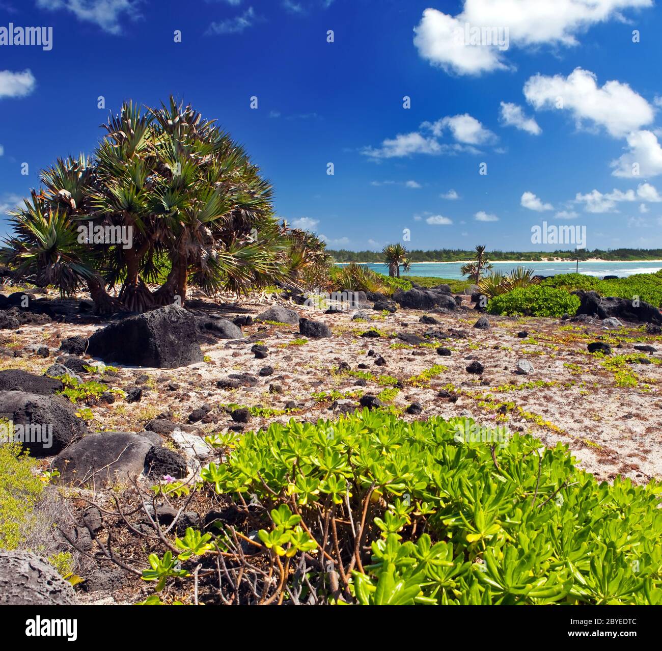 Mauritius. island Gabriel Stock Photo - Alamy